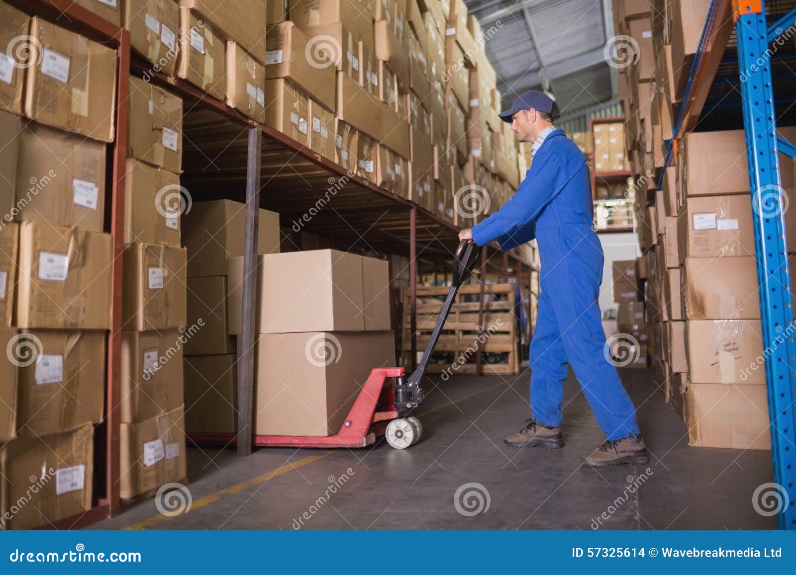 Worker Pushing Trolley with Boxes in Warehouse Stock Photo - Image of ...