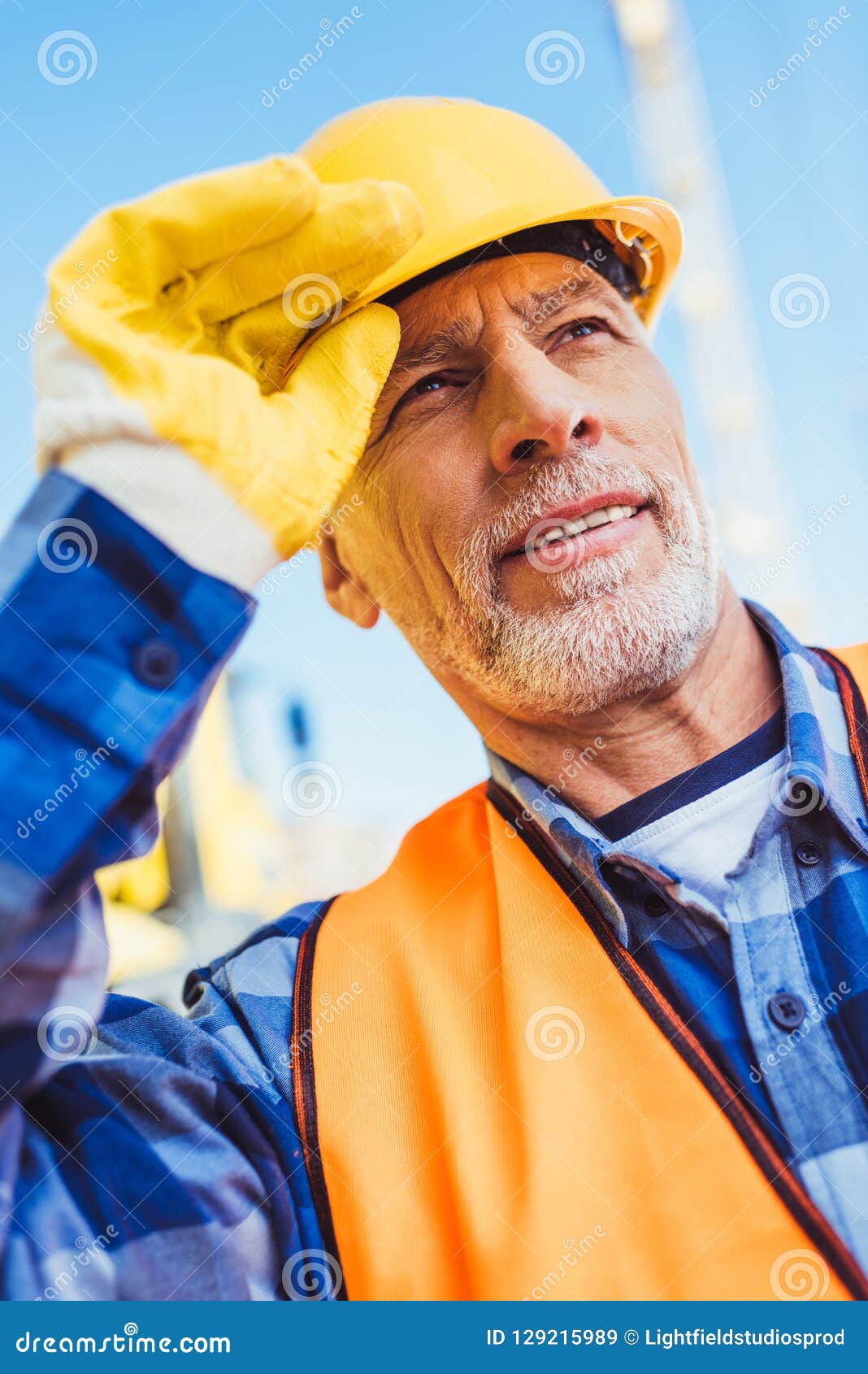 Construction Worker in Uniform Stock Image - Image of professional ...