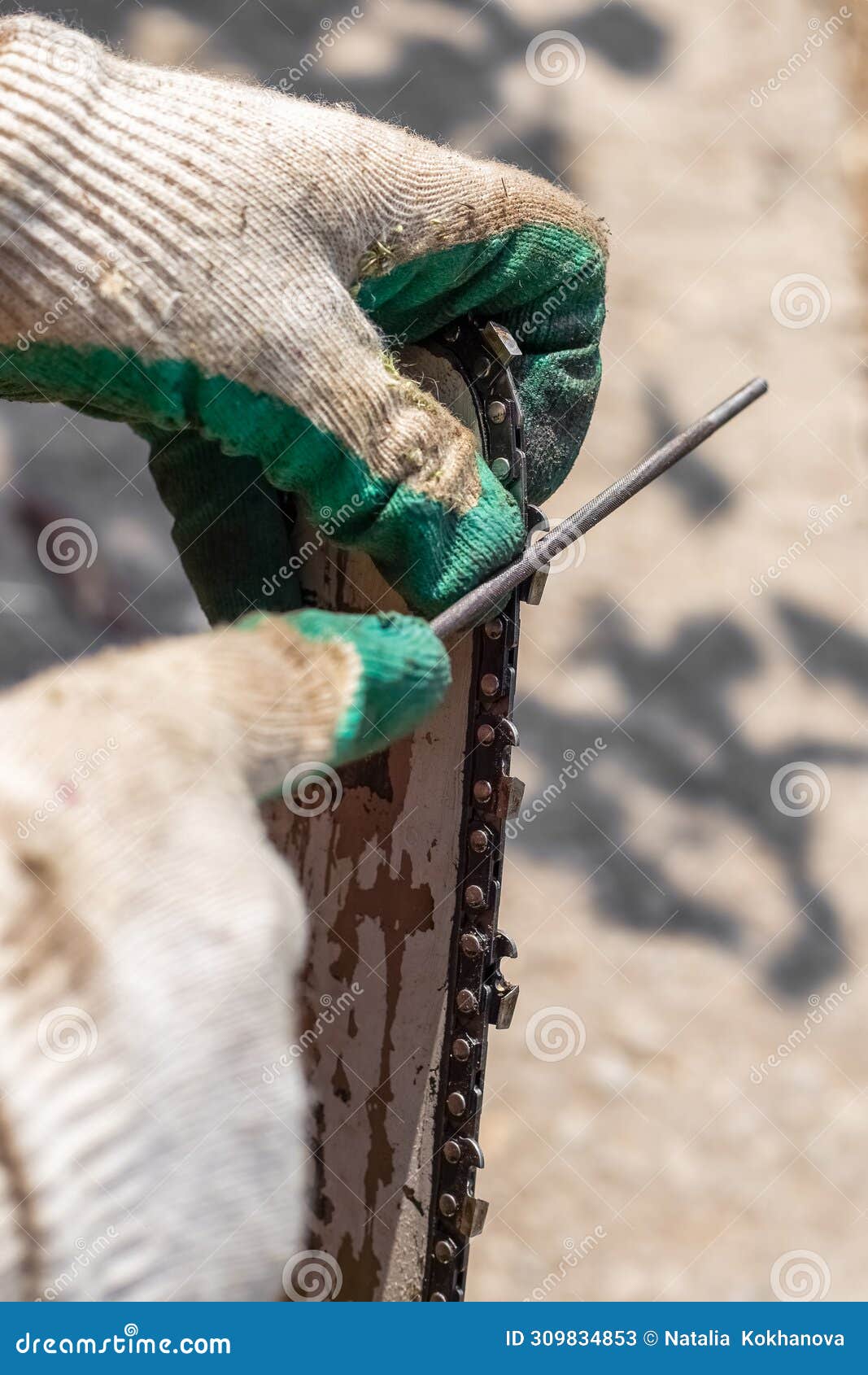 A Worker Repairs a Chainsaw Chain, Sharpening it with a File ...