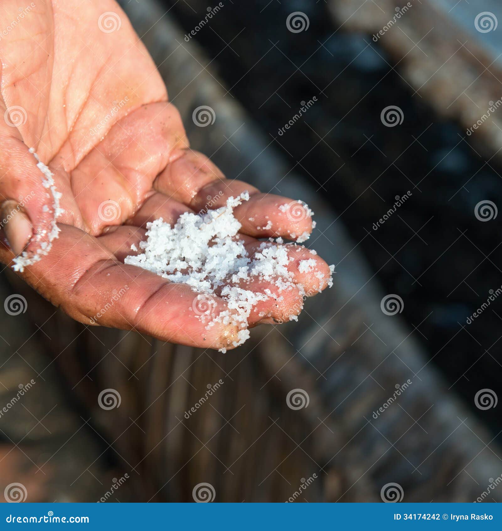 Worker S Hand with Fresh Extracted Sea Salt Stock Photo - Image of ...