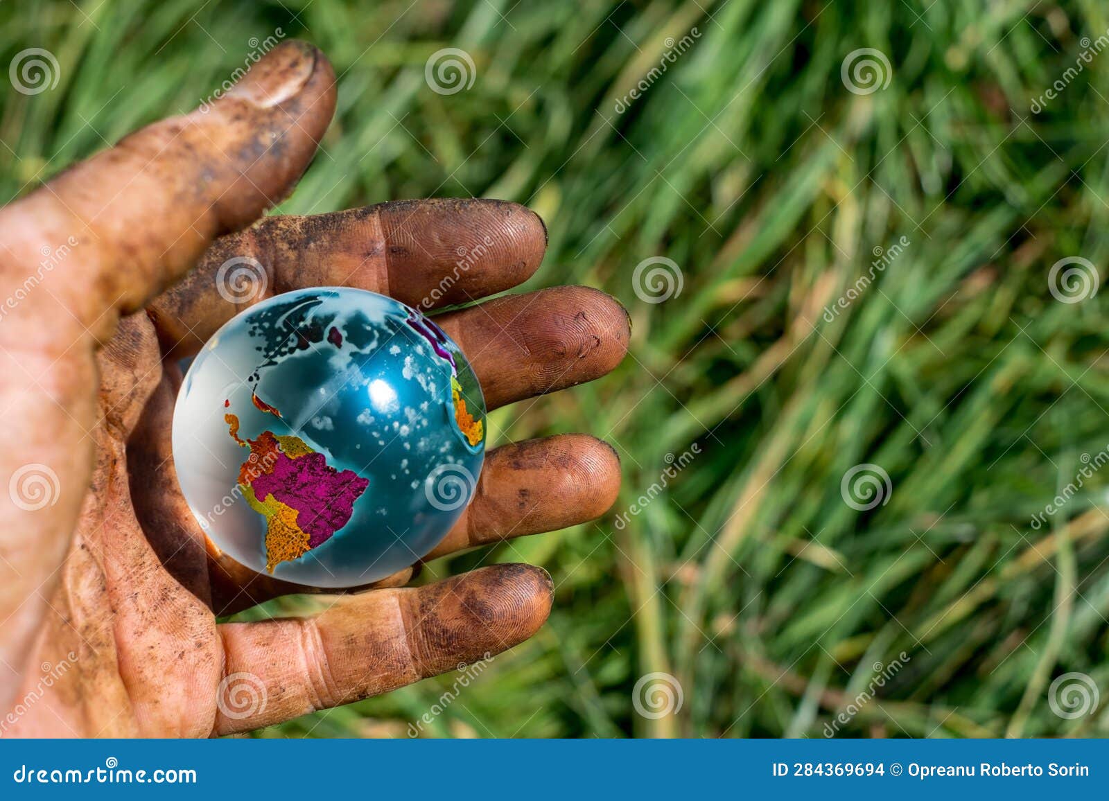 Worker S Hands Picking Nuts, Colored by the Peel Hold in a Crystal ...