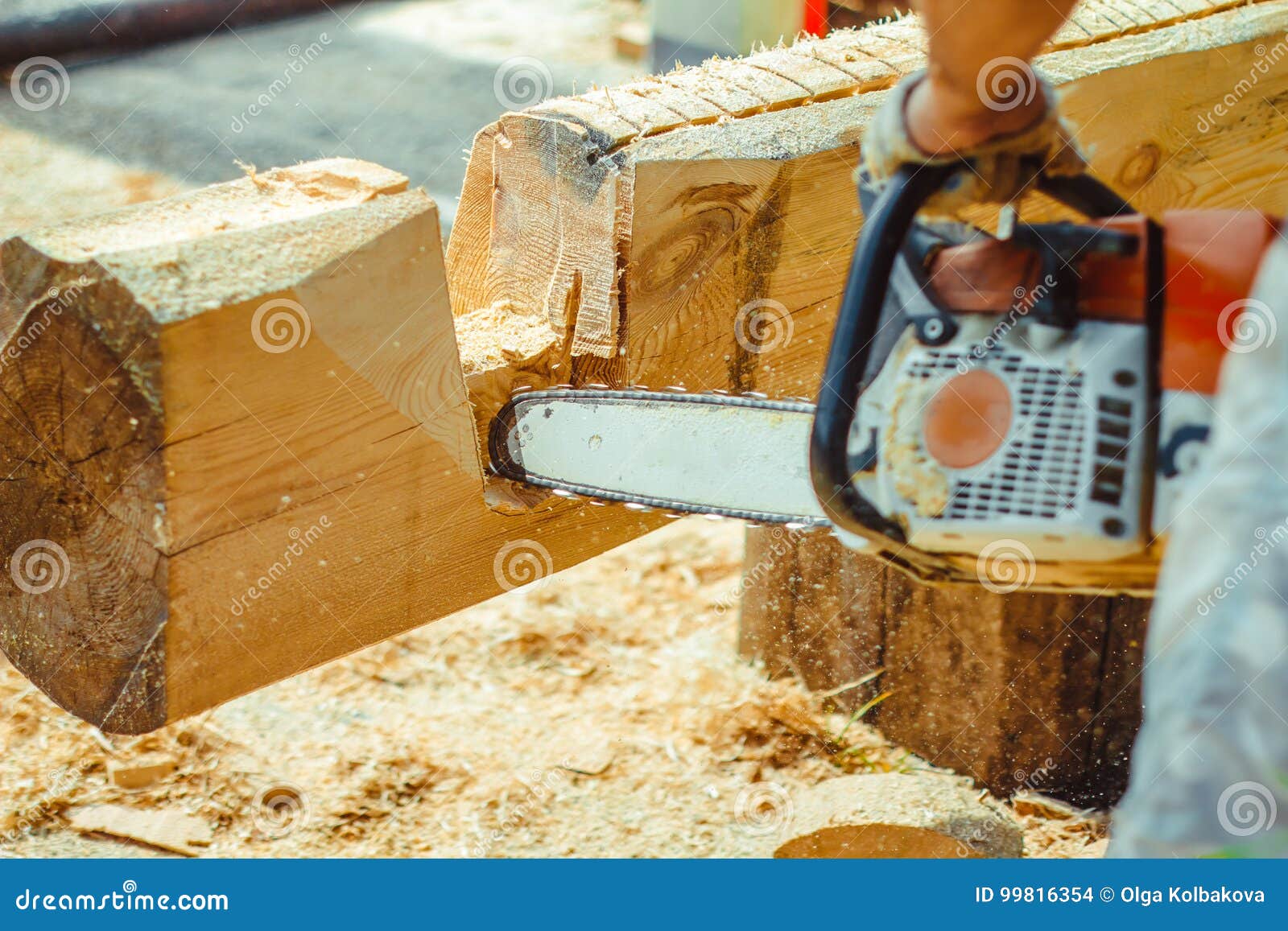 Worker Sawing a Chainsaw Tree Stock Photo - Image of nature, adult ...