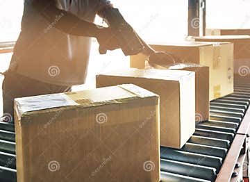 Worker Scanning Barcode Scanner on Package Boxes, Sorting Shipment ...