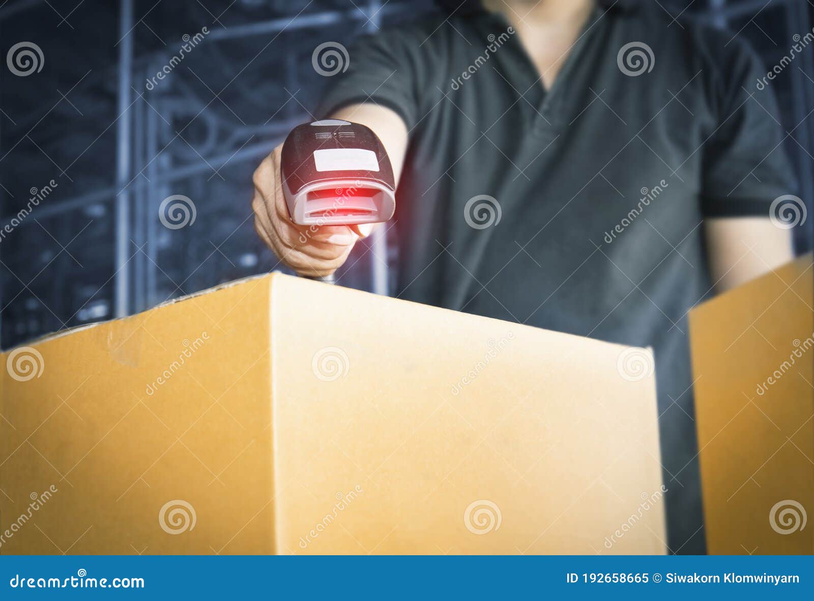 Warehouse Inventory Management, Cargo Shipment, Interior Of Warehouse ...