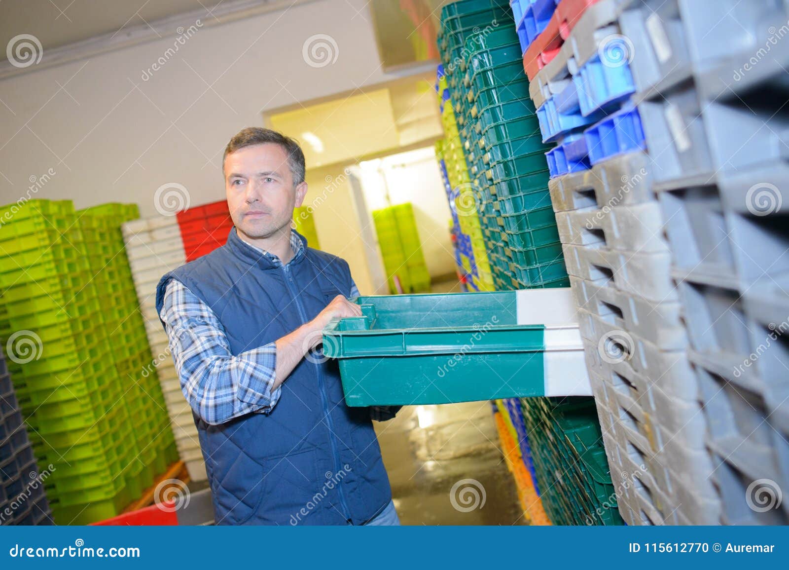 Worker Selecting Color Coded Plastic Crate Stock Photo - Image of male ...