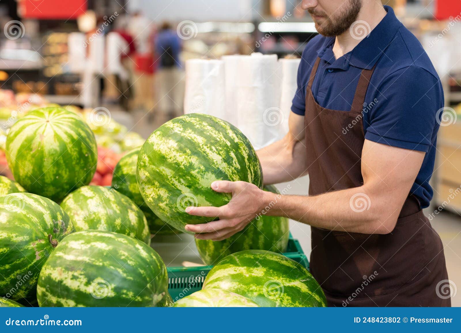 Worker Setting Out Watermelons Stock Photo - Image of holding, market ...
