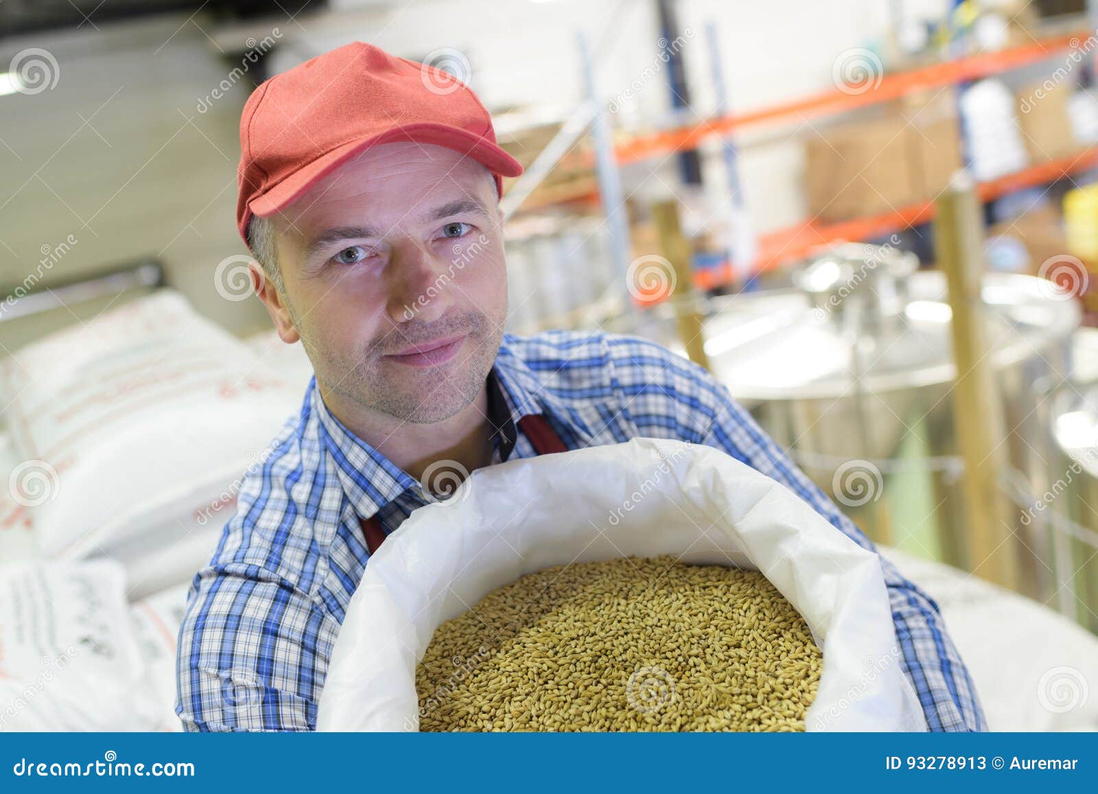 Worker showing sack grains stock image. Image of fresh - 93278913