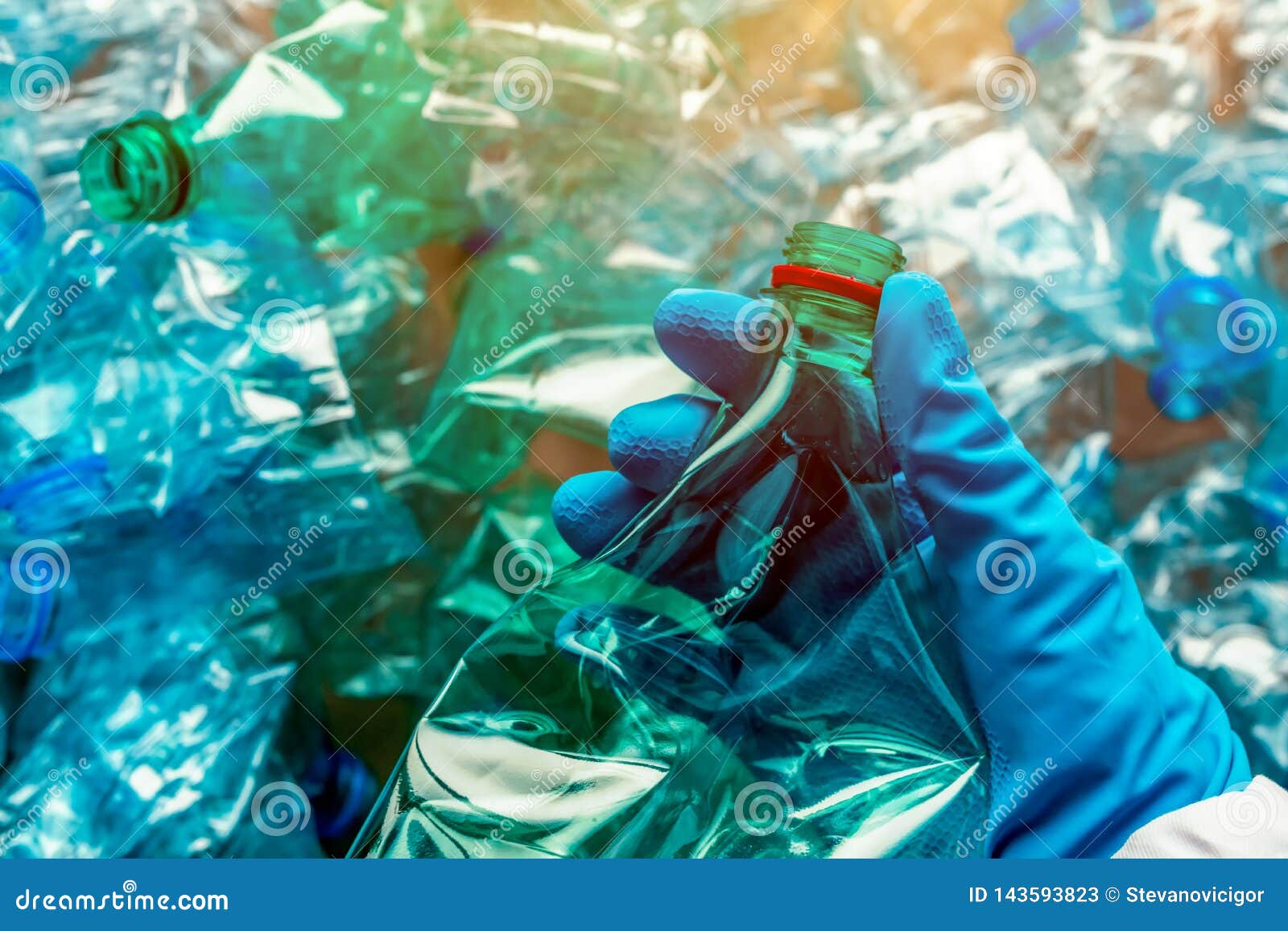 Worker Sorting Cocoa Beans Into Piles On A Factory Table Stock Photo ...