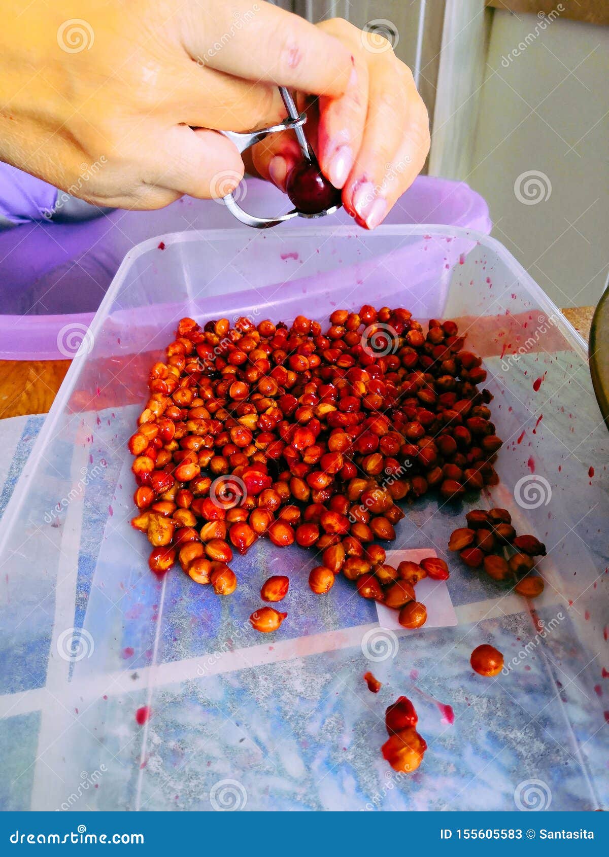 Soft Selective Focus of Fresh Raw Coffee Berries Separation with Hand ...