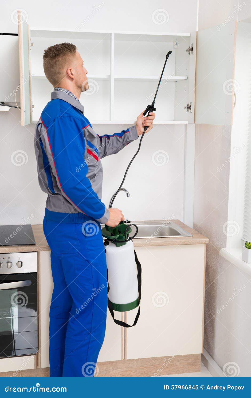 Worker Spraying Insecticide on Shelf Stock Image - Image of cockroach ...