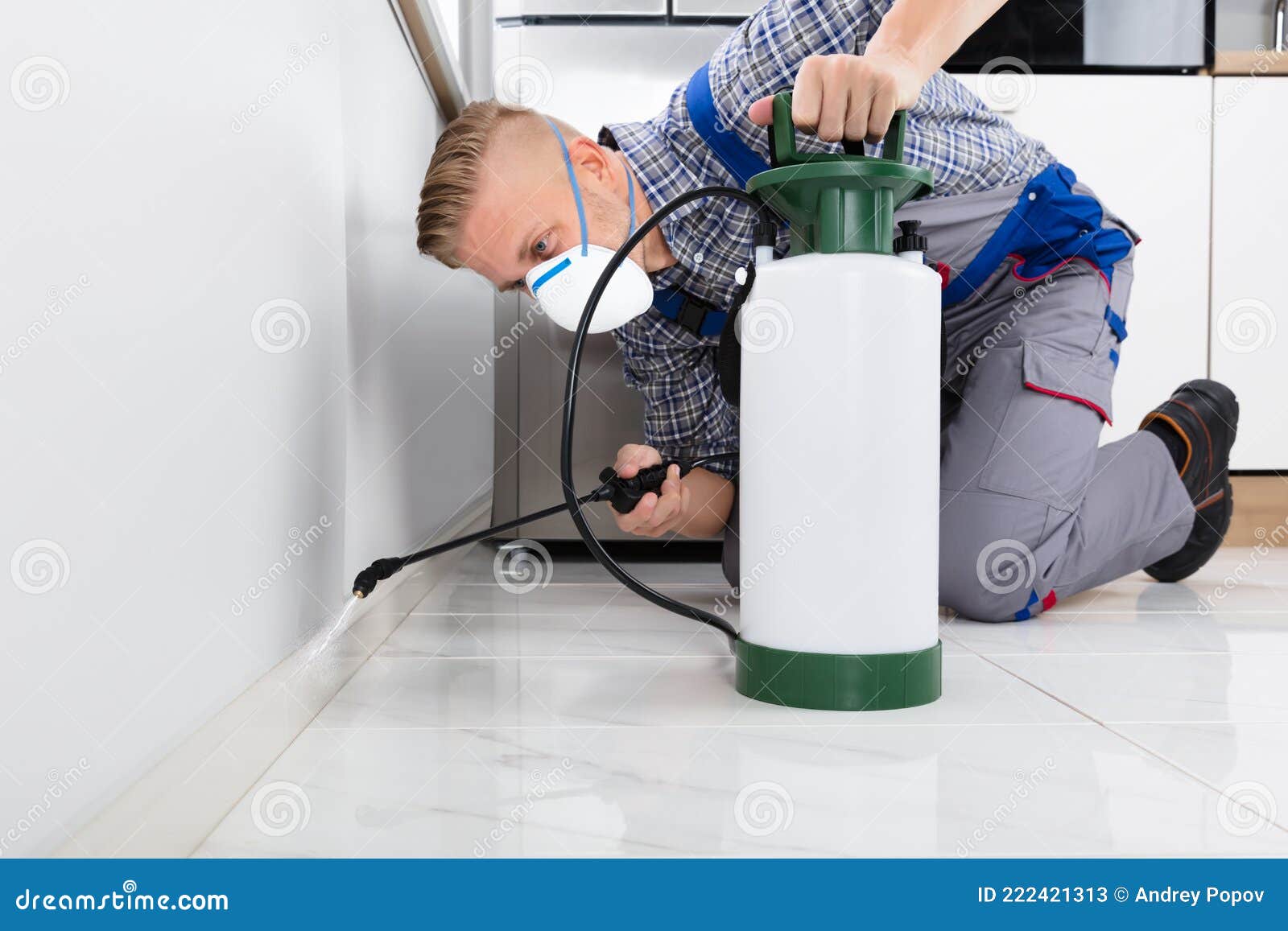 Worker Spraying Pesticide on Wall Stock Image - Image of insect ...