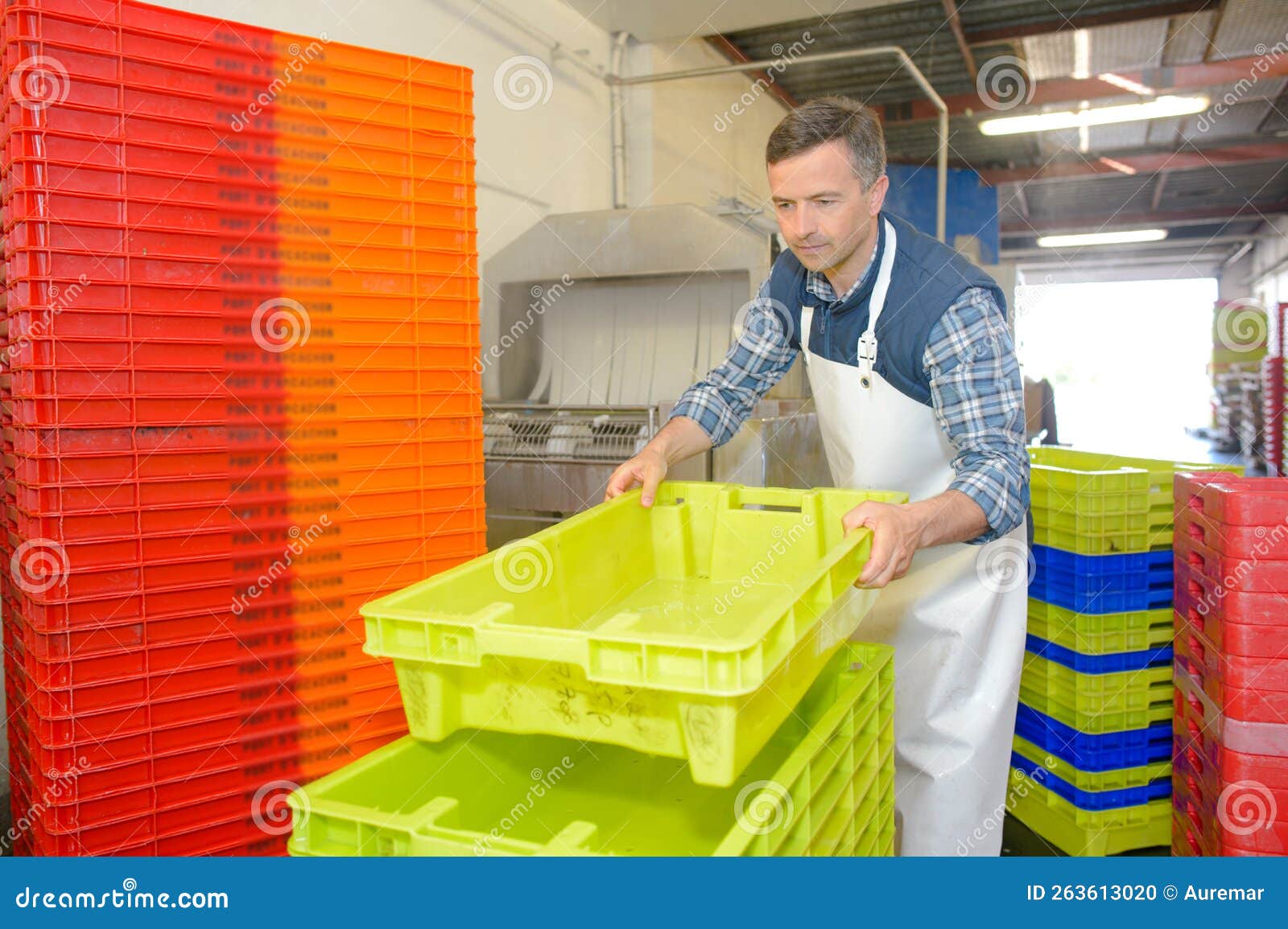 Worker stacking crates stock photo. Image of hygiene - 263613020