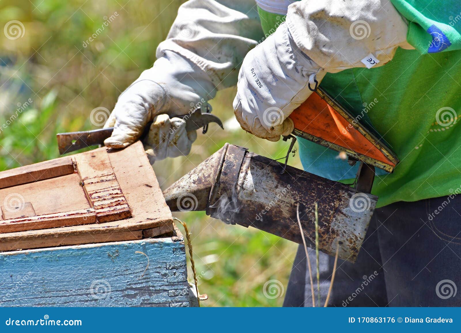 Beekeeper Working on a Bee Hive Stock Photo - Image of honey ...