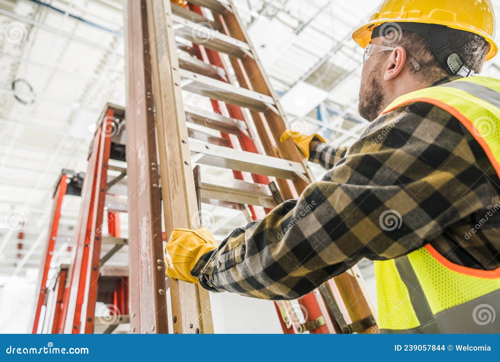 Worker Taking a Ladder To Work at Heights Stock Photo - Image of ...
