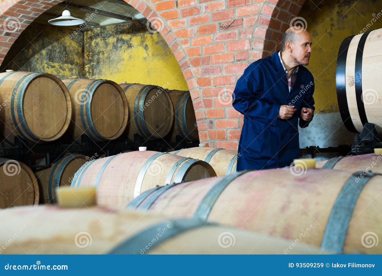 Worker Taking Notes in Wine Cellar Stock Image - Image of holding ...