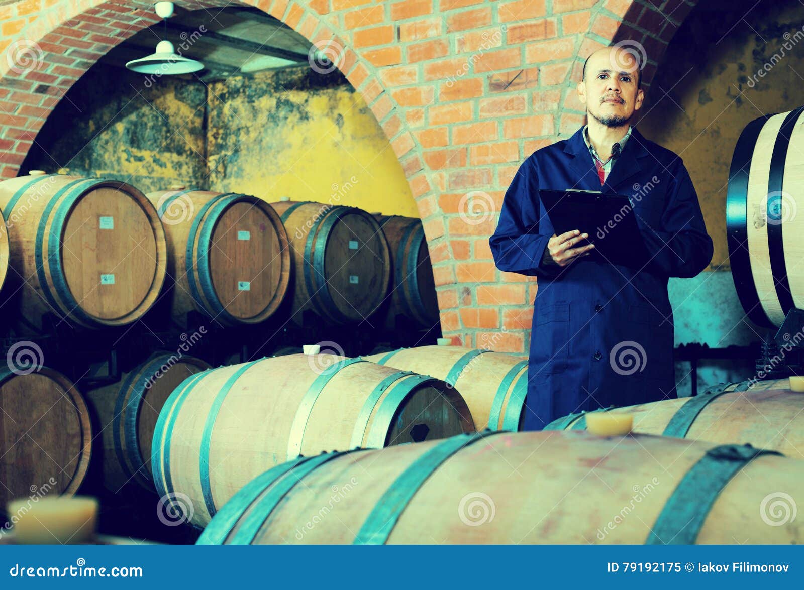 Worker Taking Notes in Wine Cellar Stock Image - Image of bottler ...