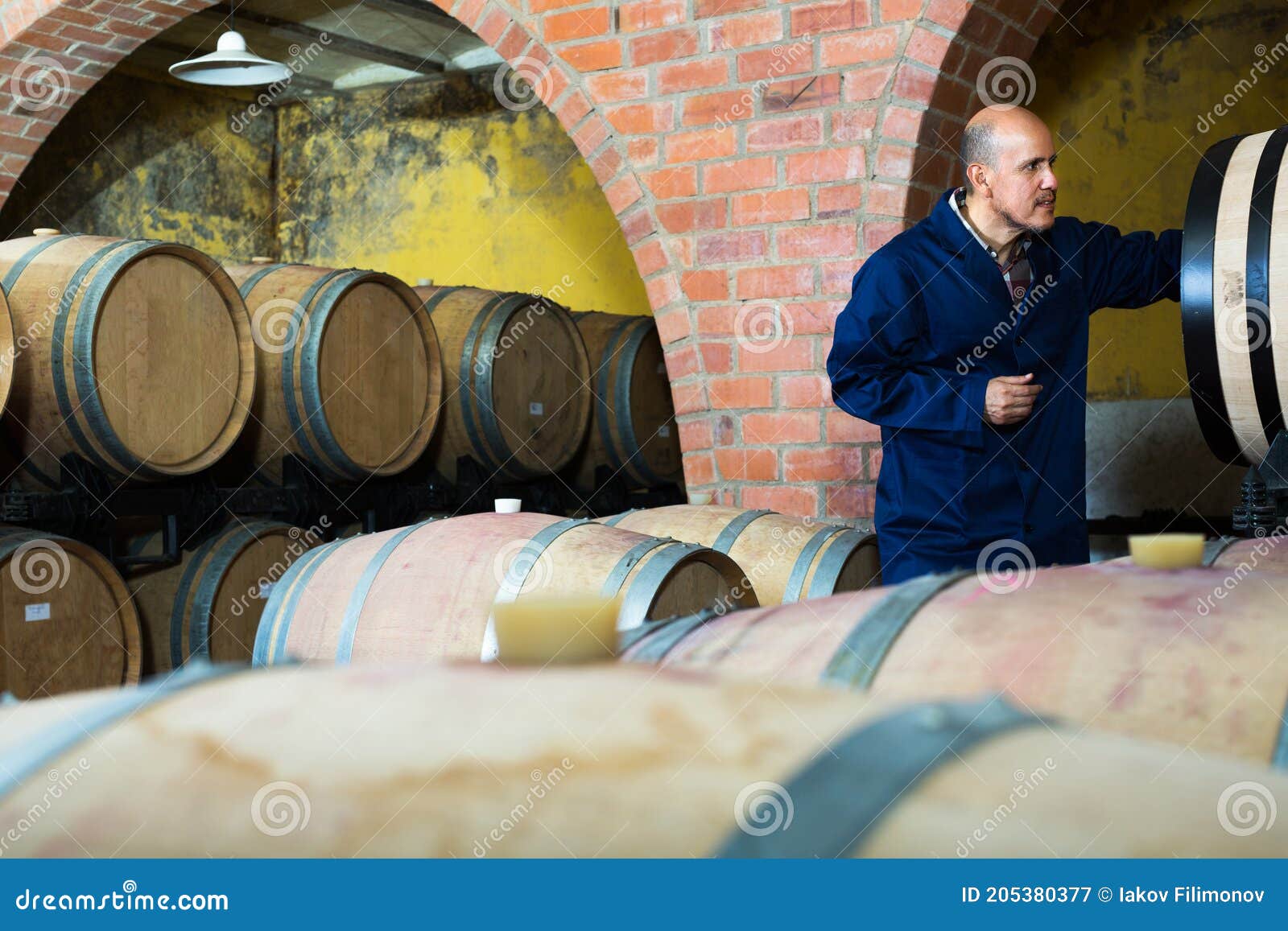 Worker Taking Notes in Wine Cellar Stock Image - Image of container ...