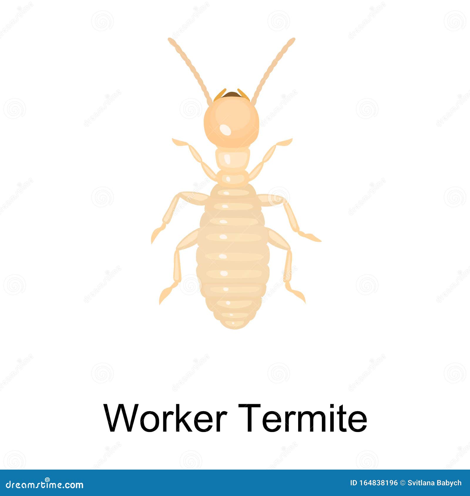 Worker Termite Illustration | CartoonDealer.com #22496448