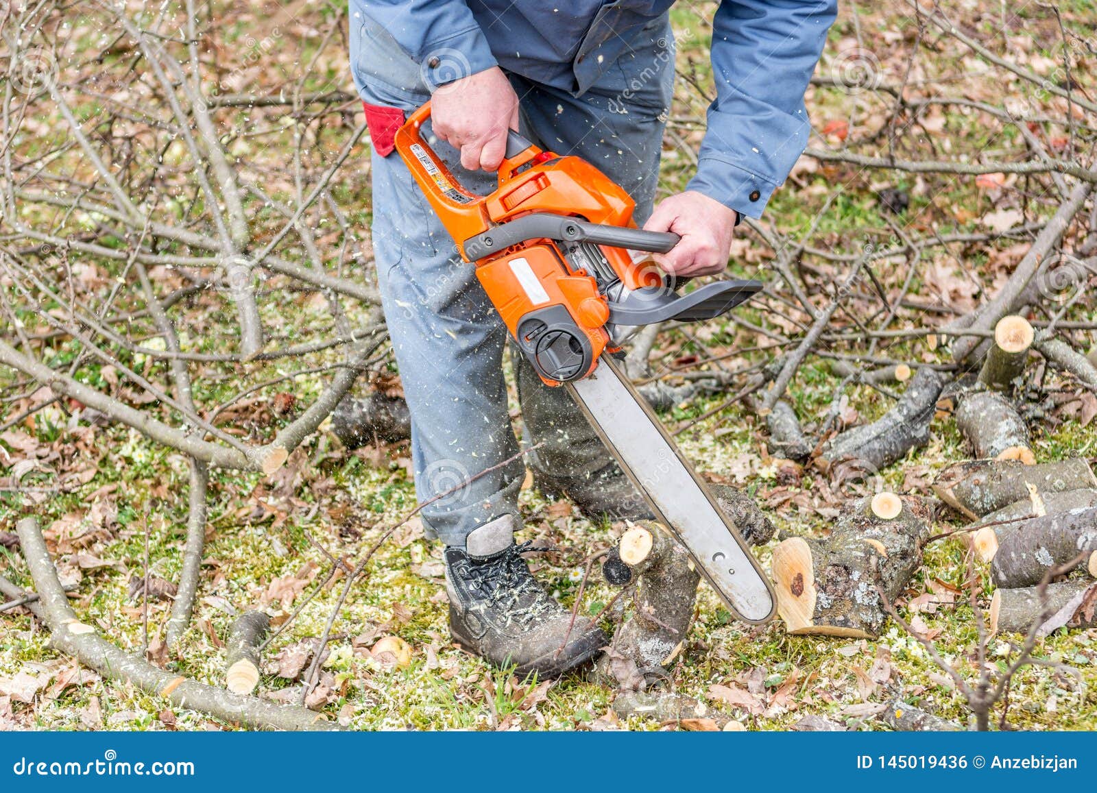 Worker Using Chain Saw and Cutting Tree Branches. Stock Photo - Image ...
