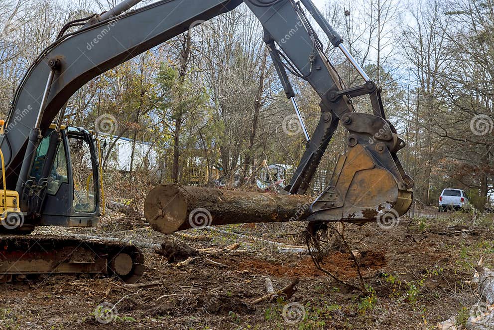 A Worker is Using an Excavator To Remove Trees in Forest a Make Way for ...
