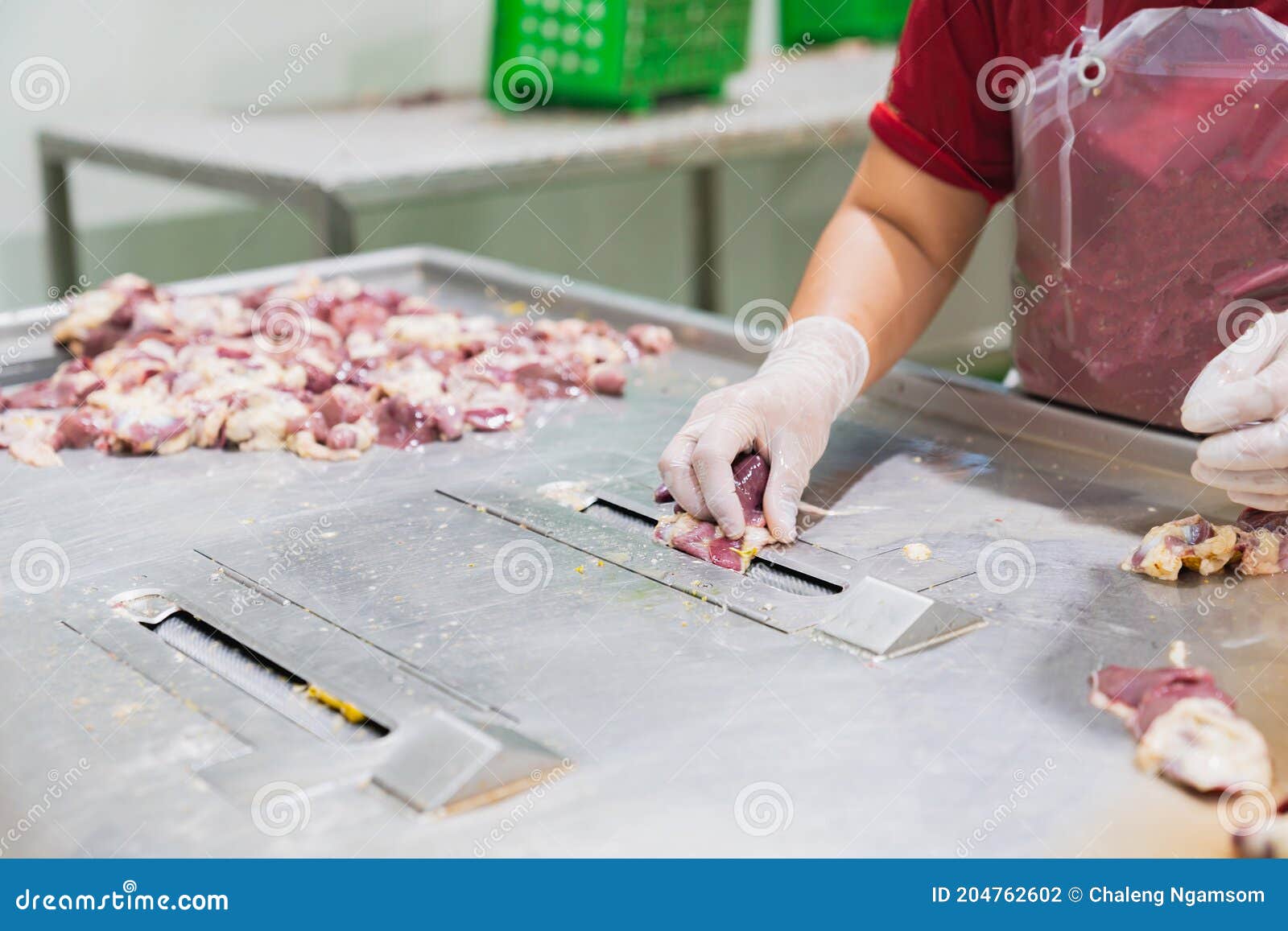 315 Poultry Gizzard Photos - Free & Royalty-Free Stock Photos from ...