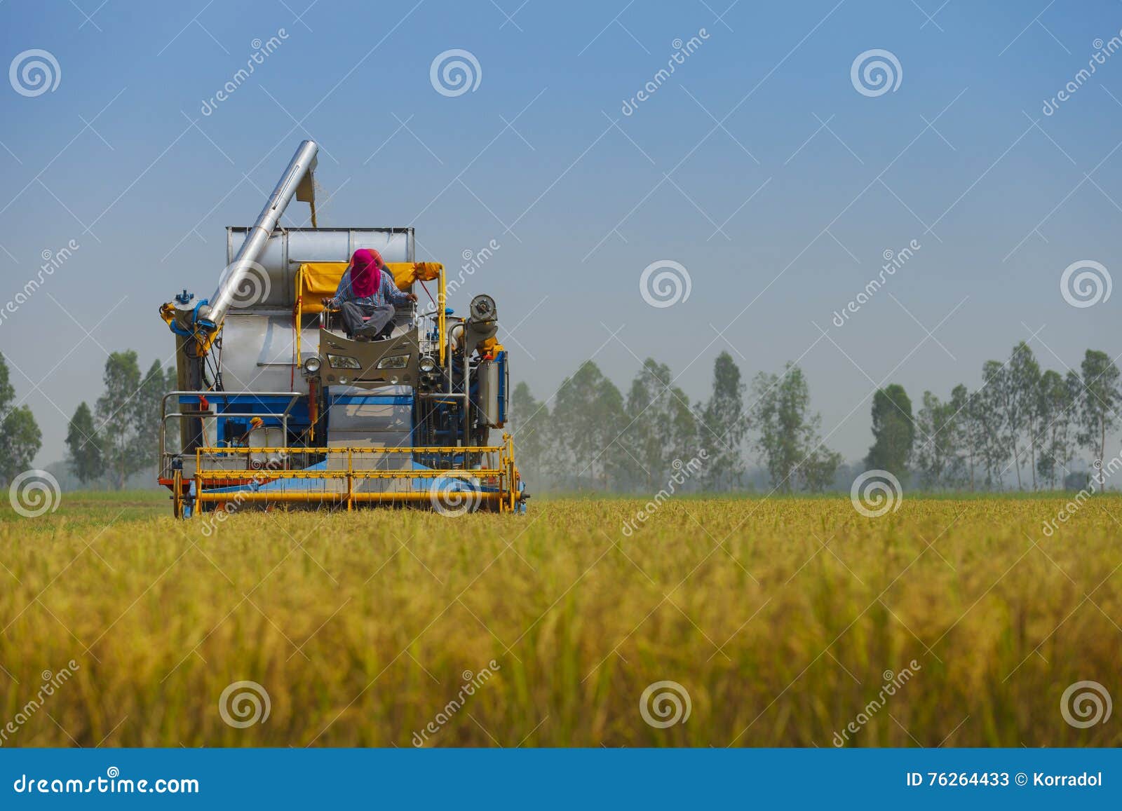 The Worker Using Harvesting Machine in the Paddy Field Editorial Stock ...