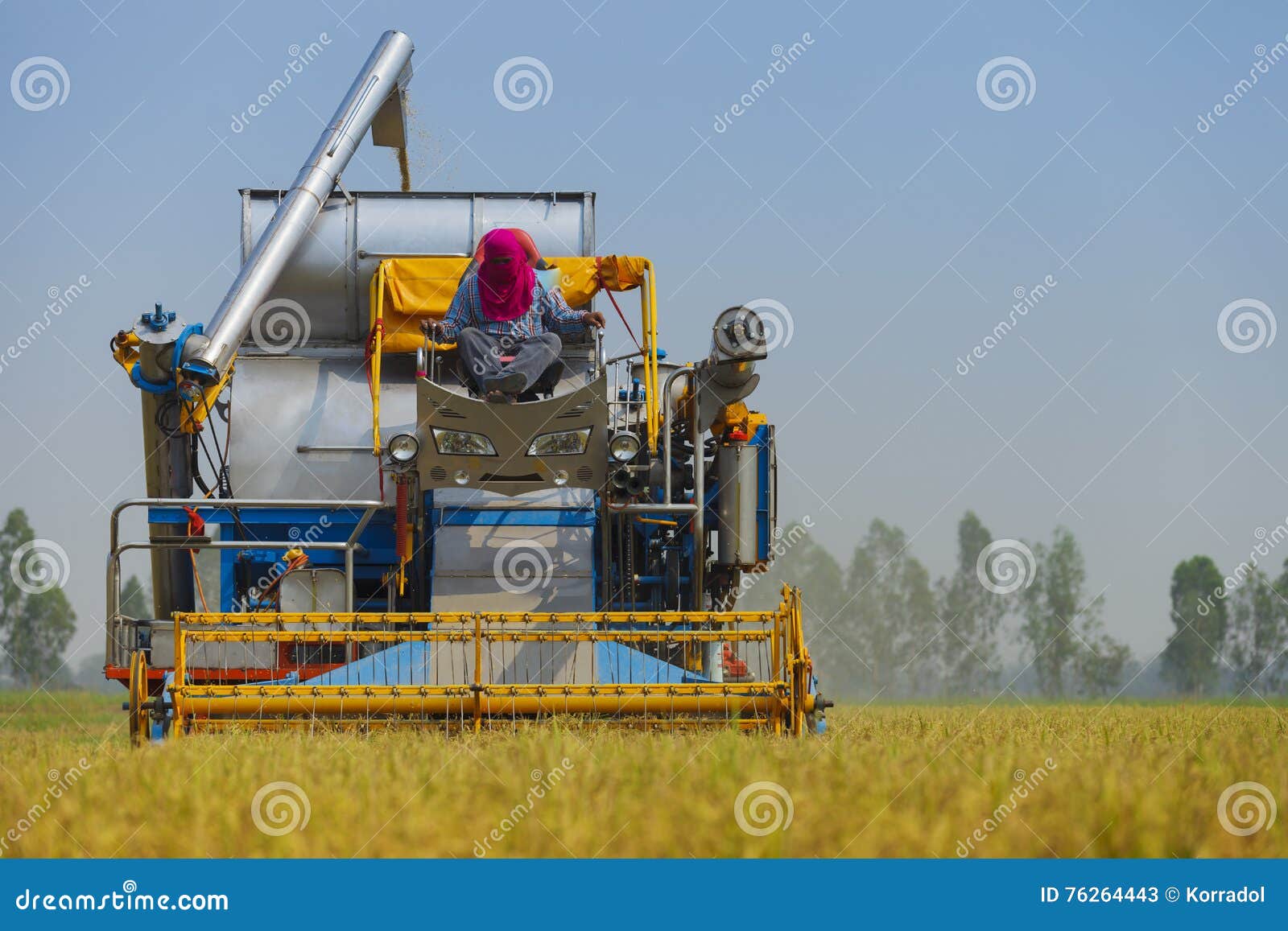 The Worker Using Harvesting Machine in the Paddy Field Editorial Stock ...