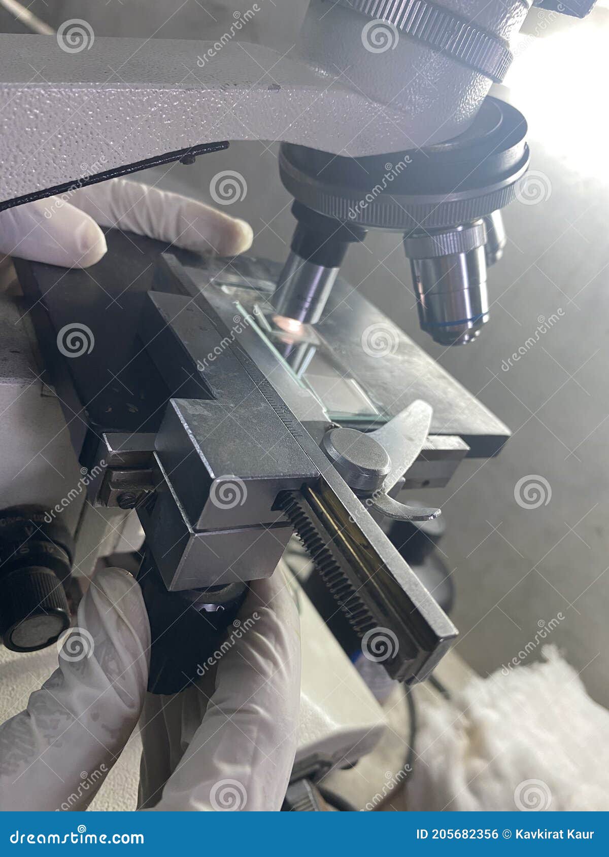 Worker Using a Microscope in the Laboratory Stock Photo - Image of ...