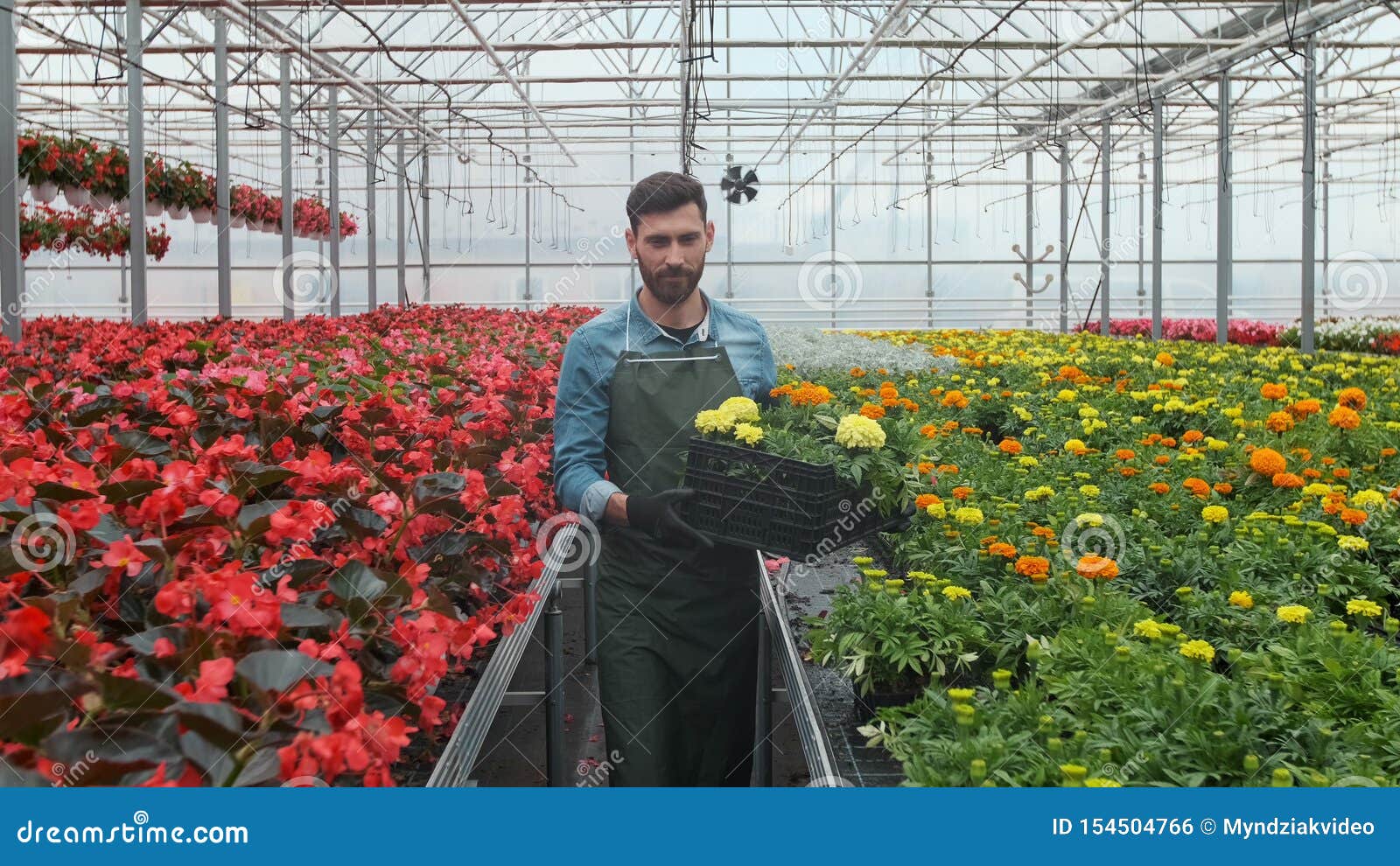 Worker Walking in a Flowerpot. Agricultural Engineer Working in ...