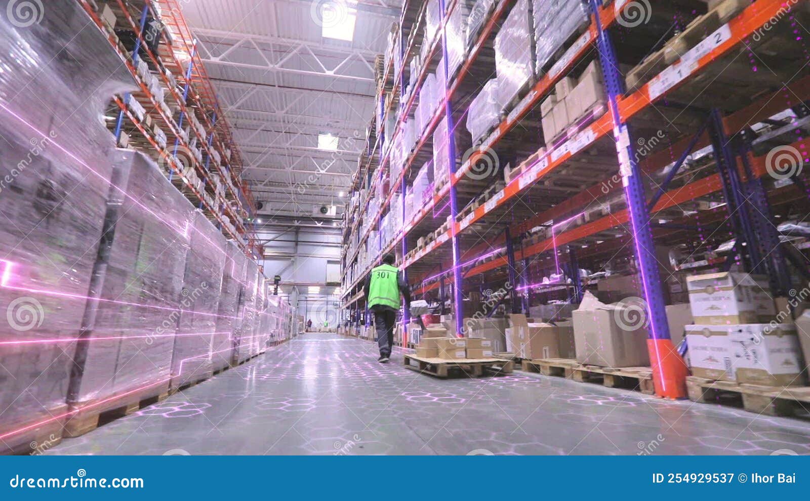 The Worker Walks through the Warehouse. a Worker is Carrying a Rokla ...