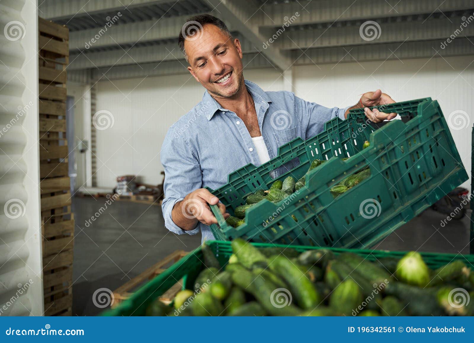 Worker in Warehouse Sorting Cucumbers Stock Image - Image of work, full ...
