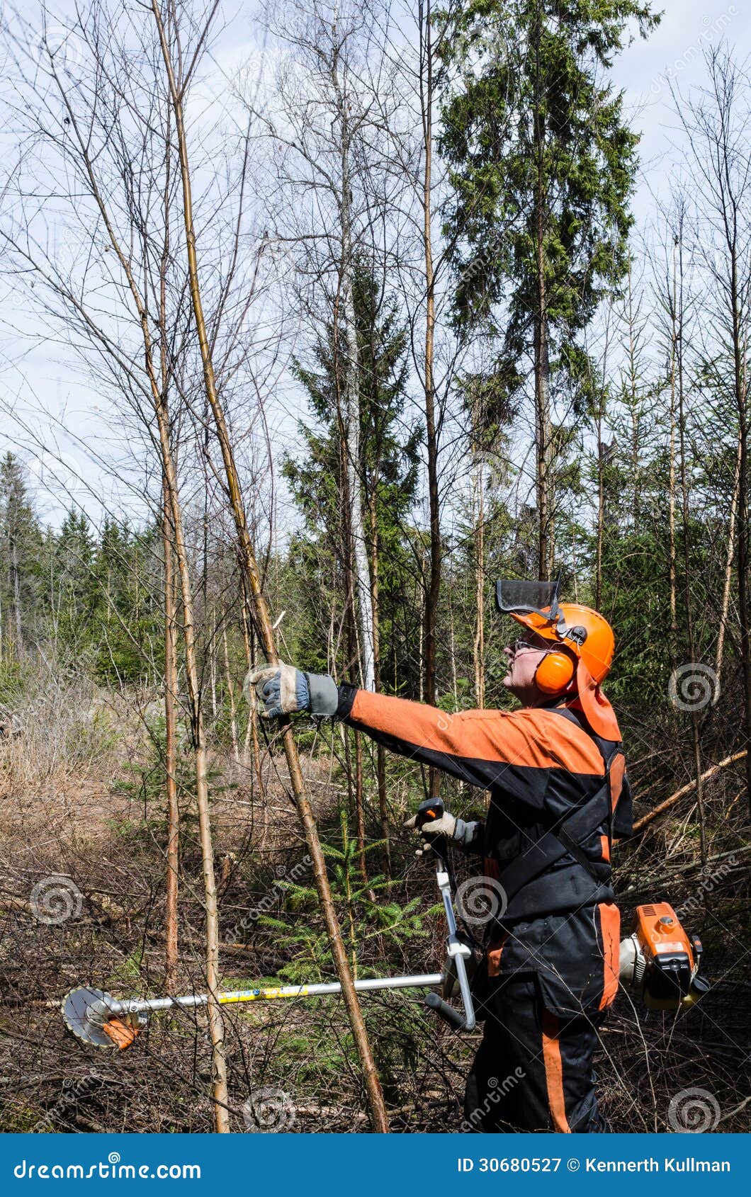 Worker in wild forest stock image. Image of hard, maintenance - 30680527