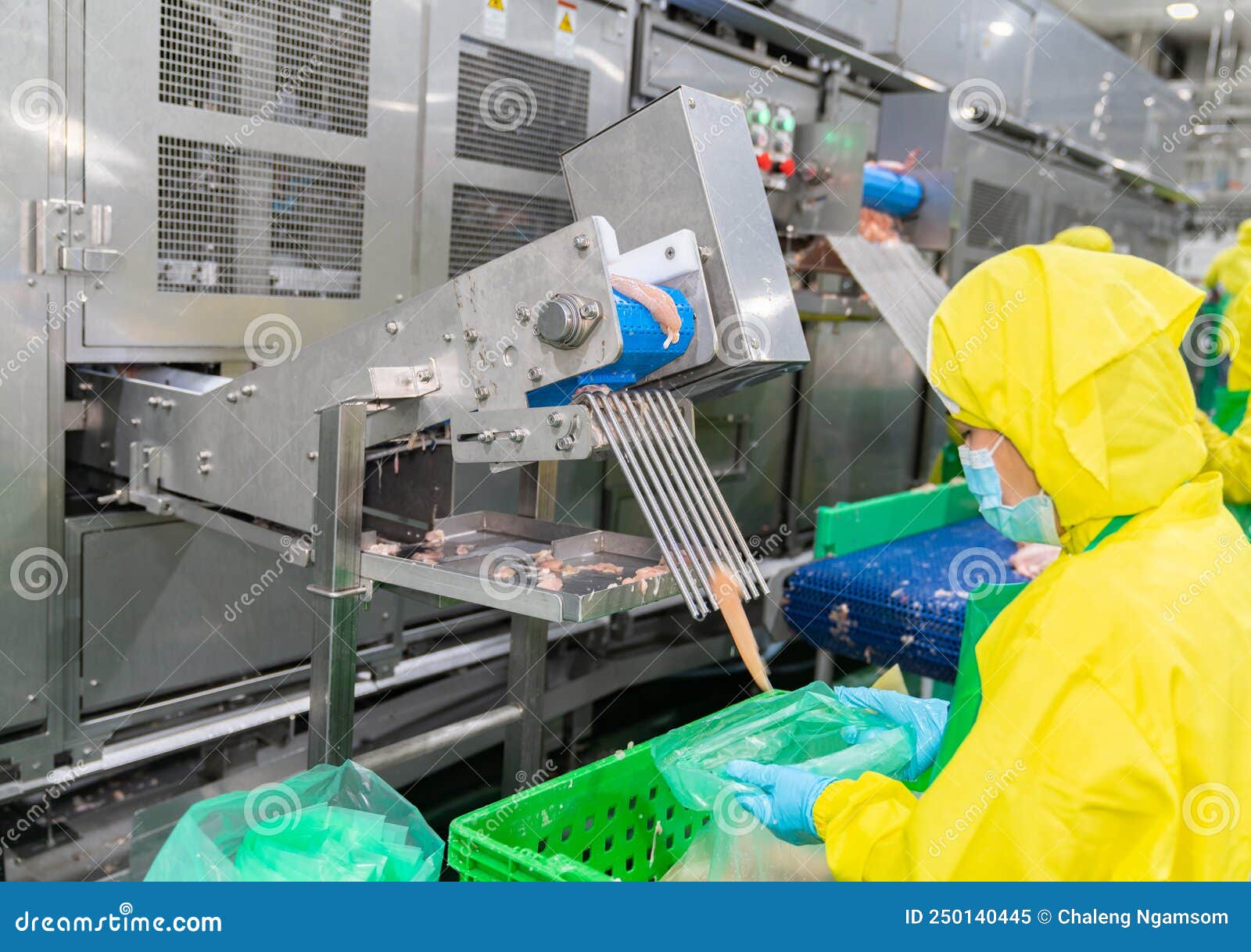 Worker Work with Automate Slice Chicken Meat Machine Stock Image ...