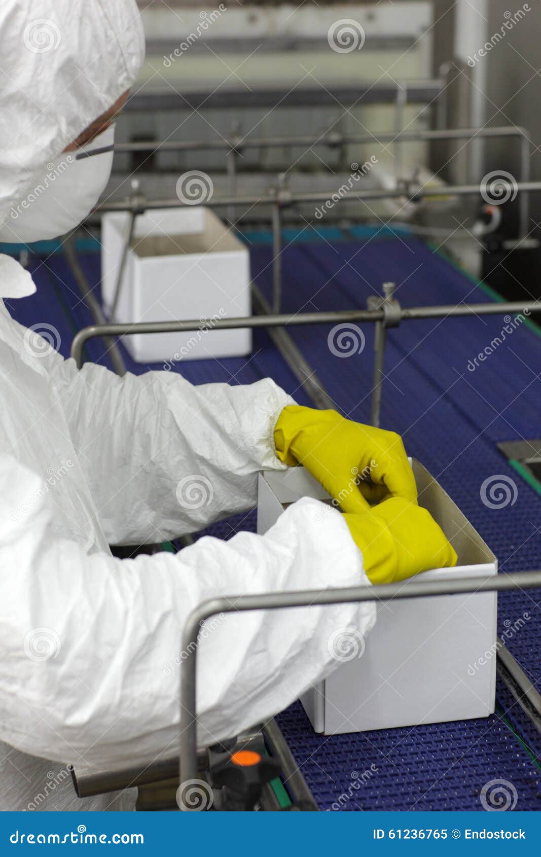 Worker Working with Boxes at on Packing Line Line in Factory Stock ...