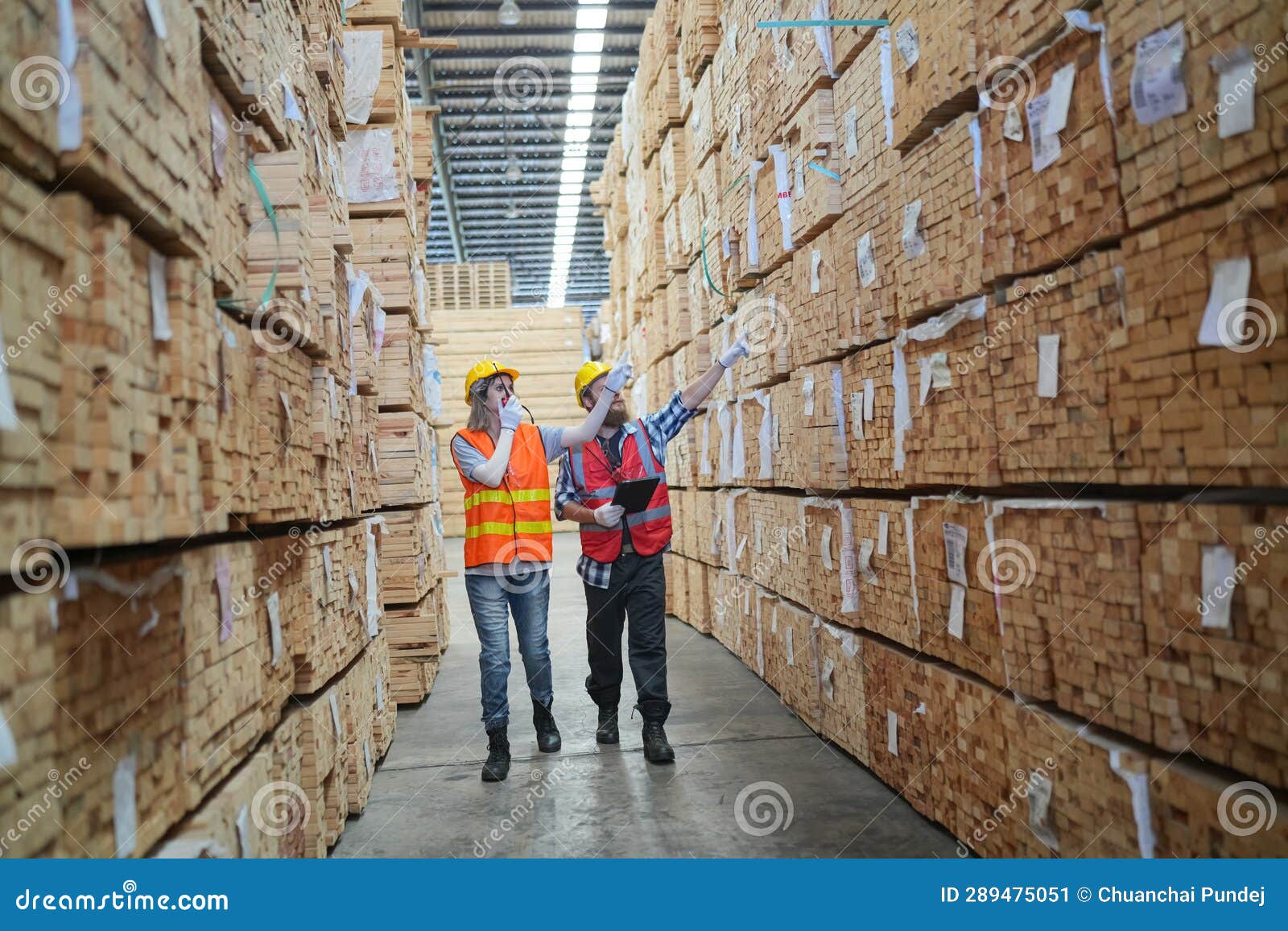 Worker are Working at Lumber Yard in Large Warehouse. Stock Image ...