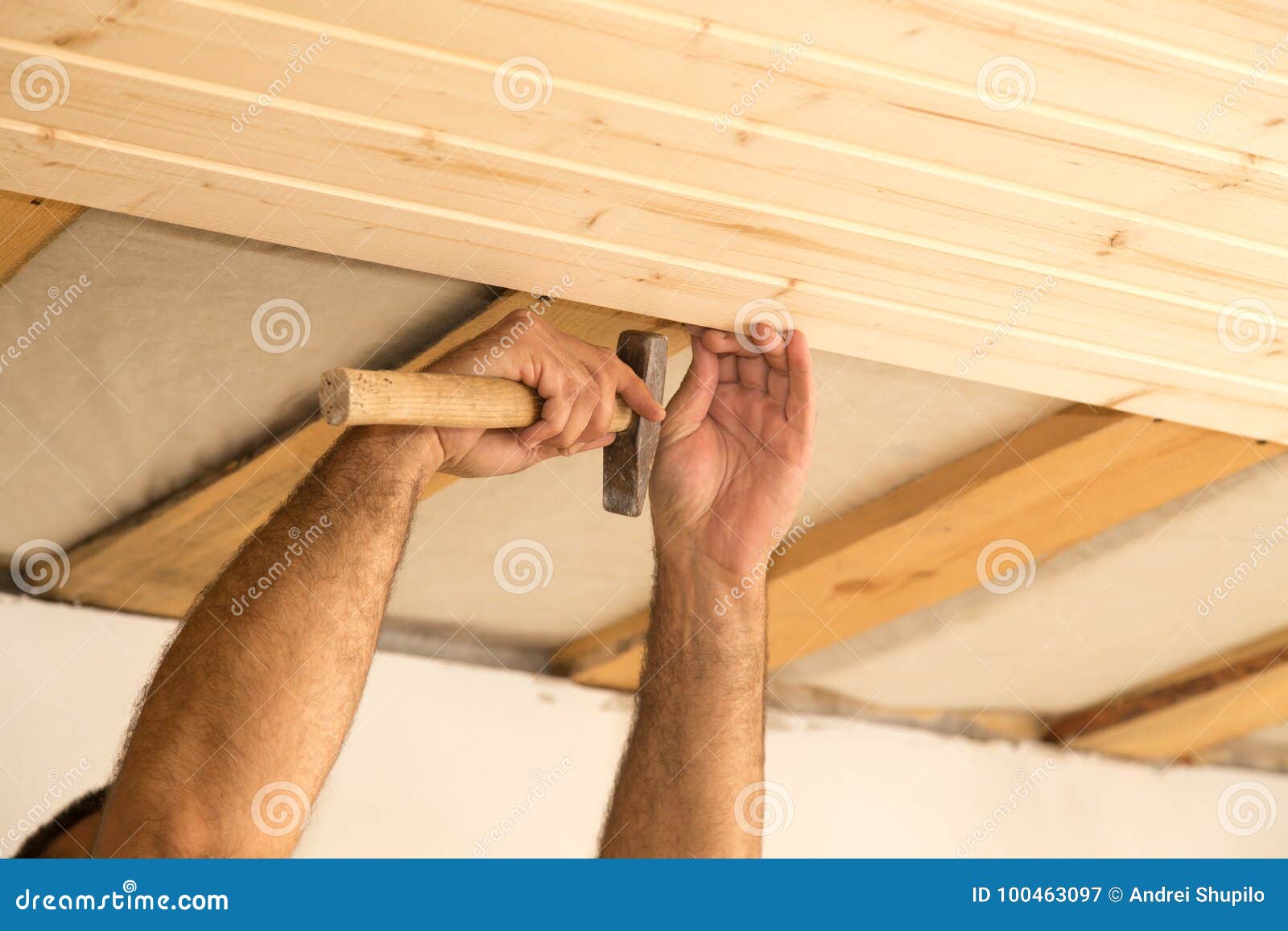 Worker Working on a Wooden Ceiling in the House Stock Image - Image of ...