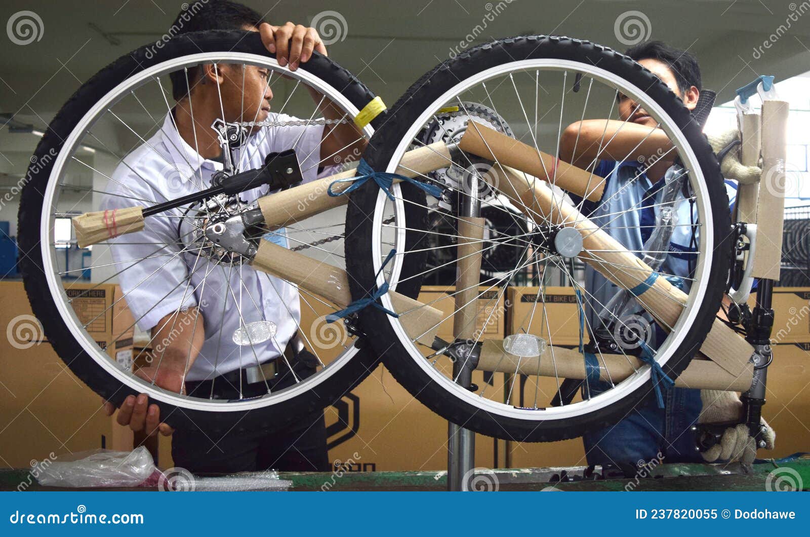 Workers Check on the Assembly Line at the Assembly Bicycle Bike ...