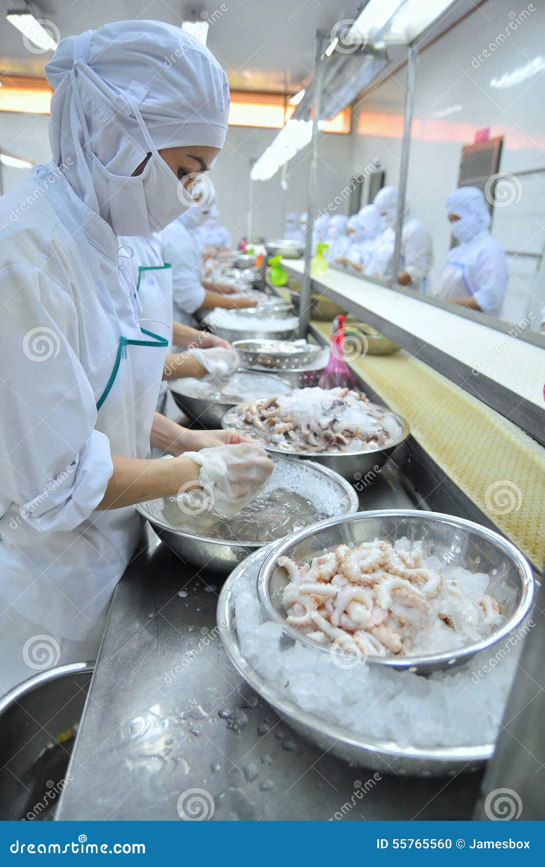Workers are Classifying Octopus for Exporting in a Seafood Processing ...
