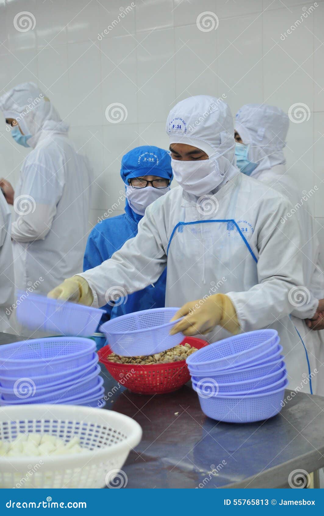 Workers are Classifying Octopus for Exporting in a Seafood Processing ...