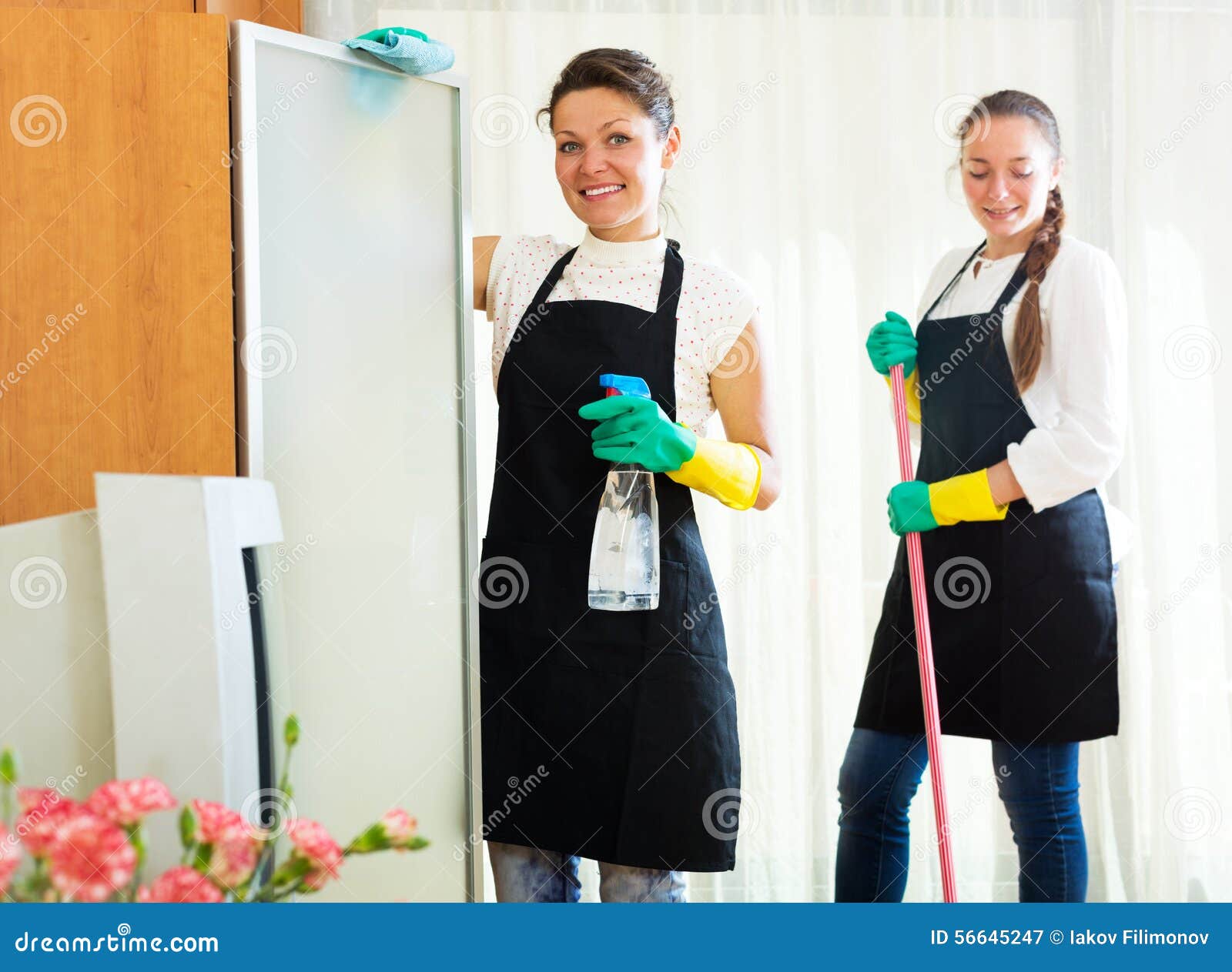Workers of Cleaning Company Stock Image - Image of home, housework ...