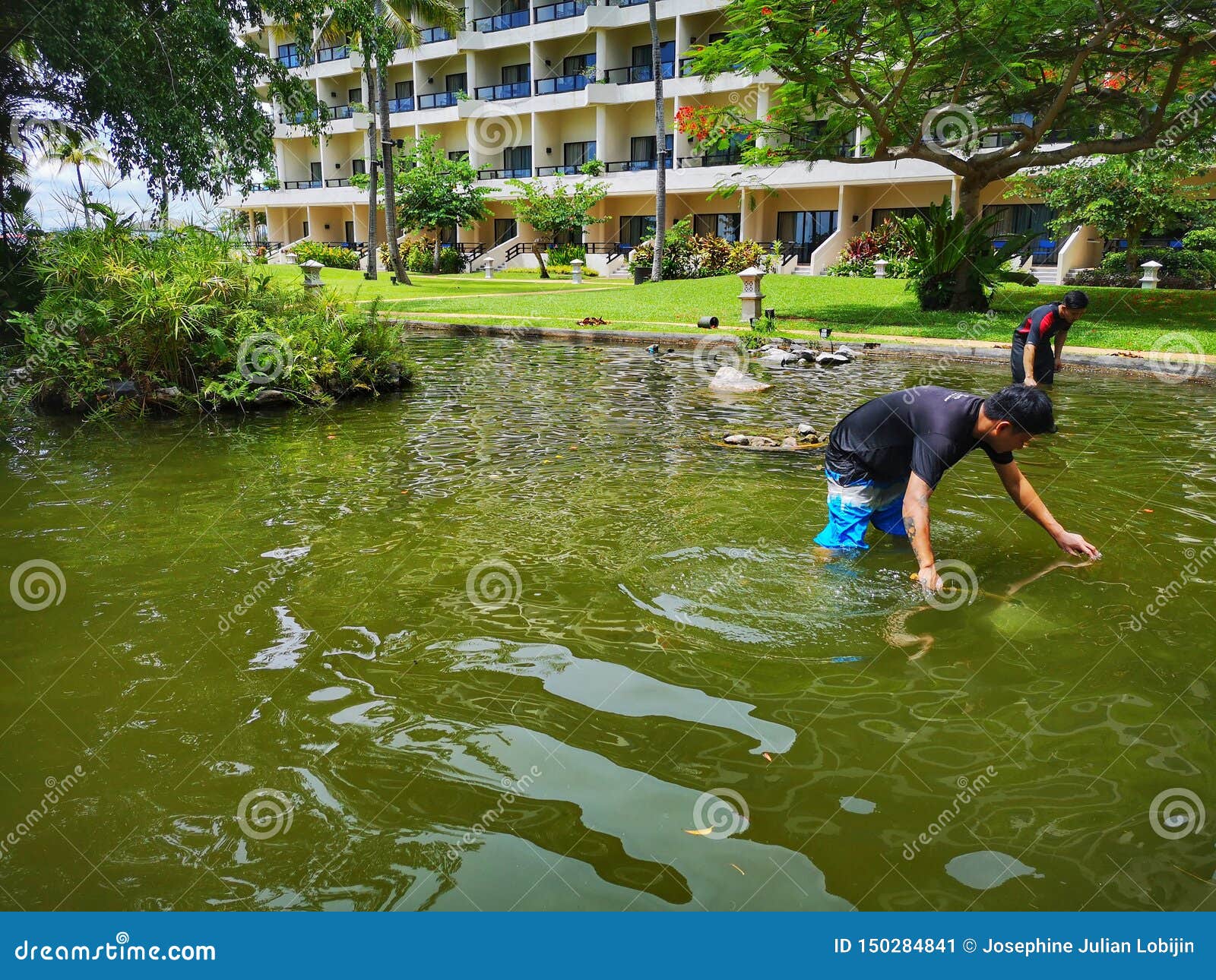 Workers Cleaning a Fish Pond Editorial Photo - Image of kota, plant ...