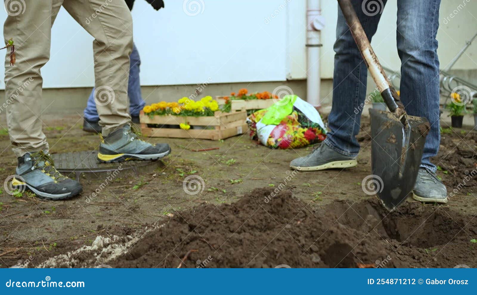 Workers Digging Holes in a Garden Stock Footage - Video of heavy ...