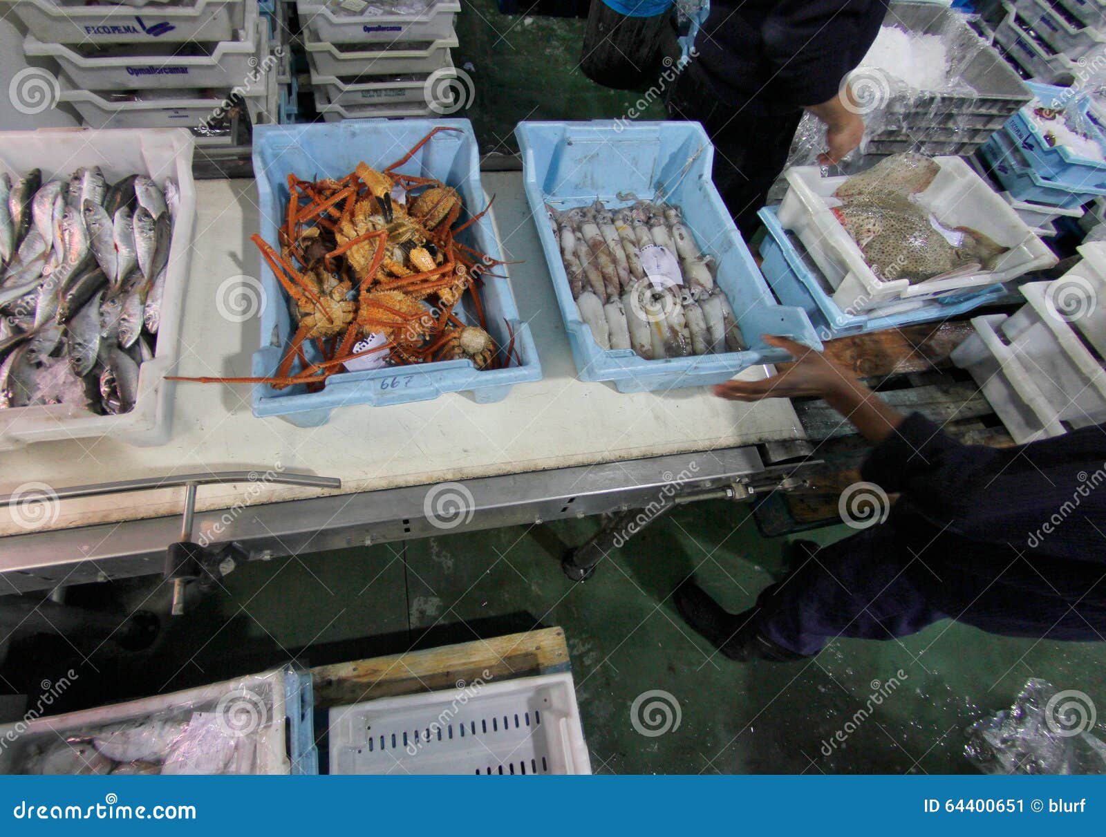 Workers Distributing Cargo on Fish Market Editorial Photo - Image of ...