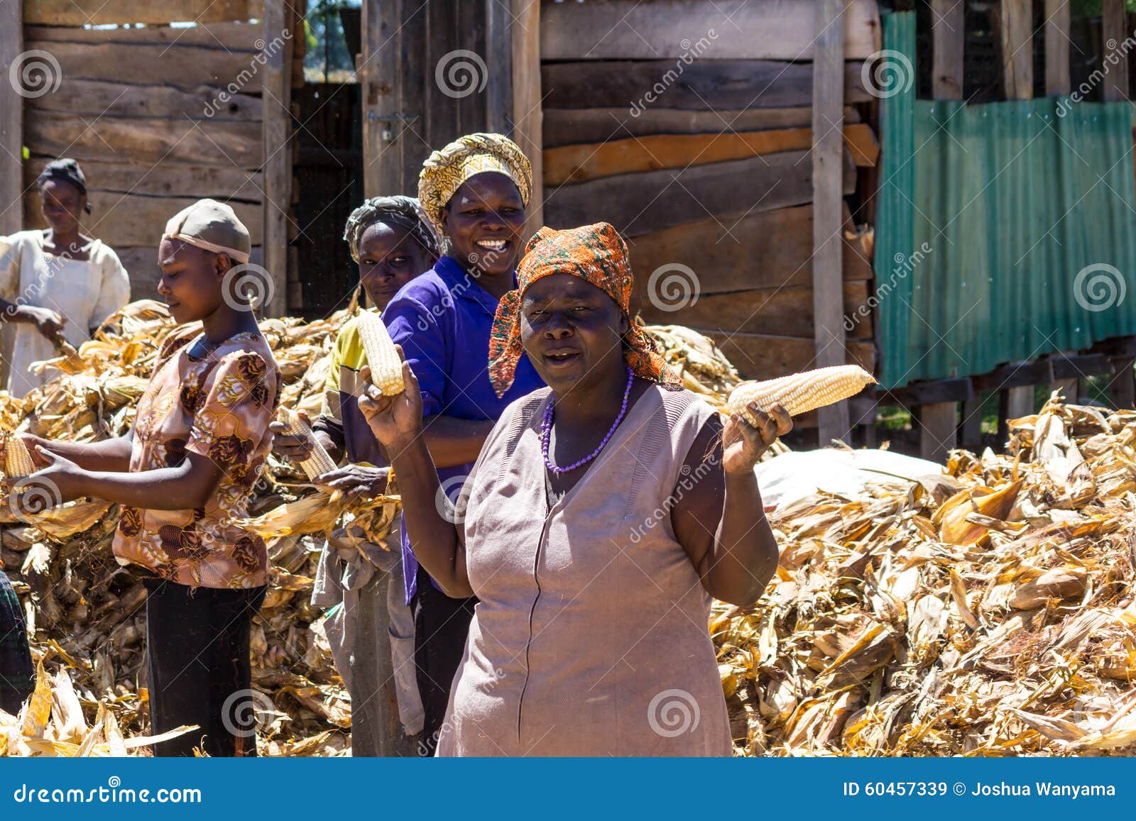 Workers at a farm editorial stock image. Image of work - 60457339
