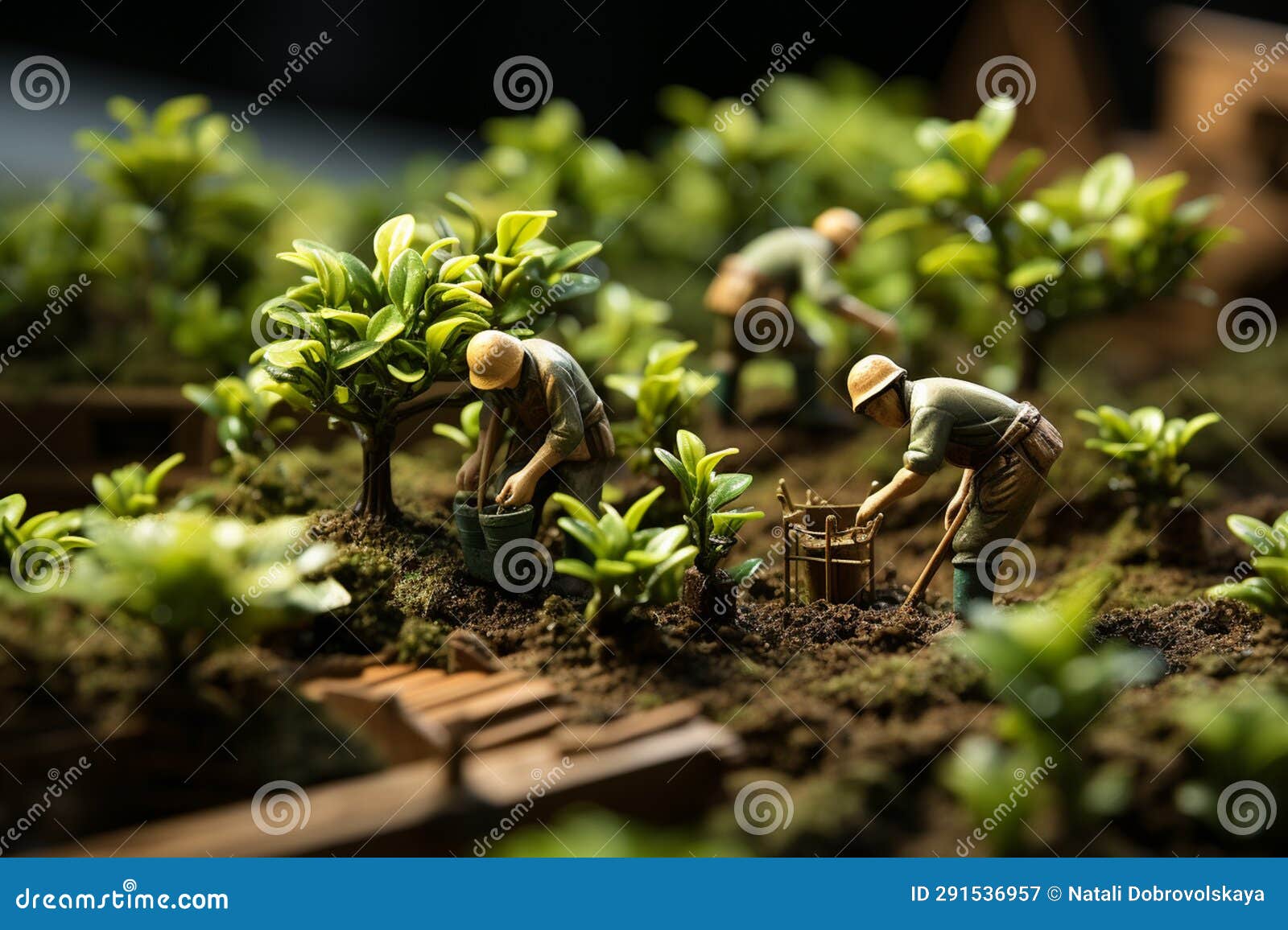.workers Gathering Ceylon Tea on Green Plantation Stock Image - Image ...