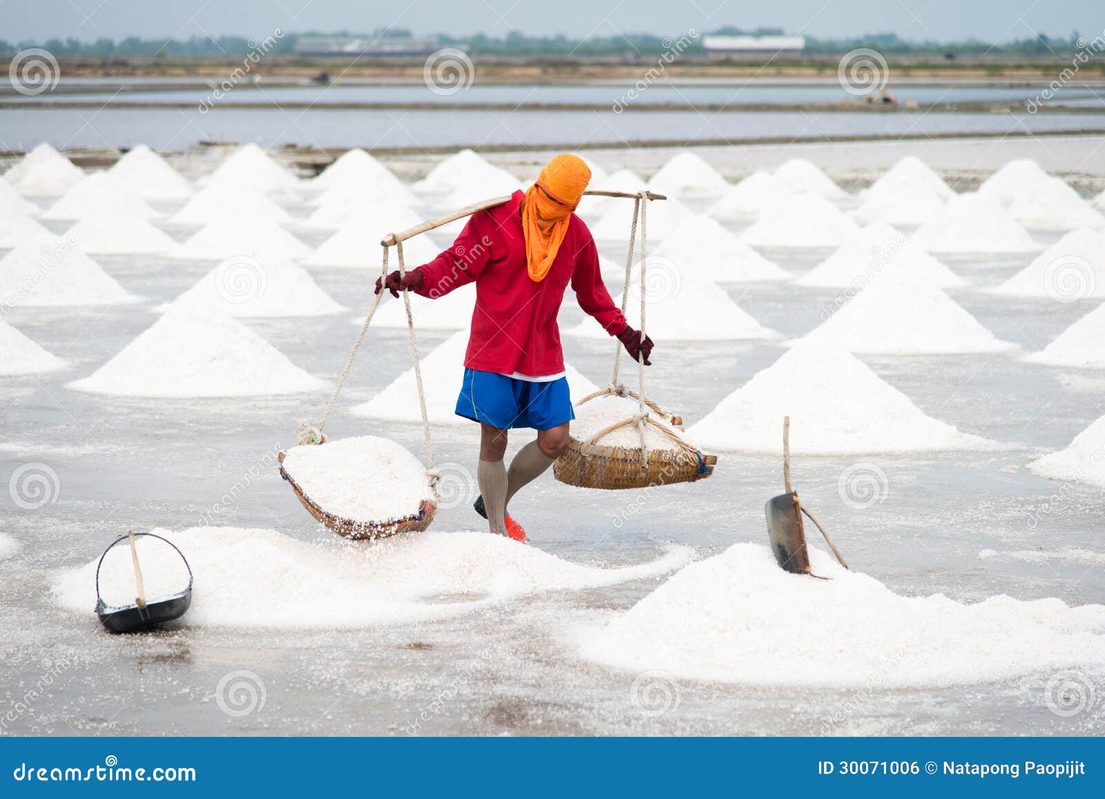 Salt pan harvest stock photo. Image of field, rural, view - 30071006