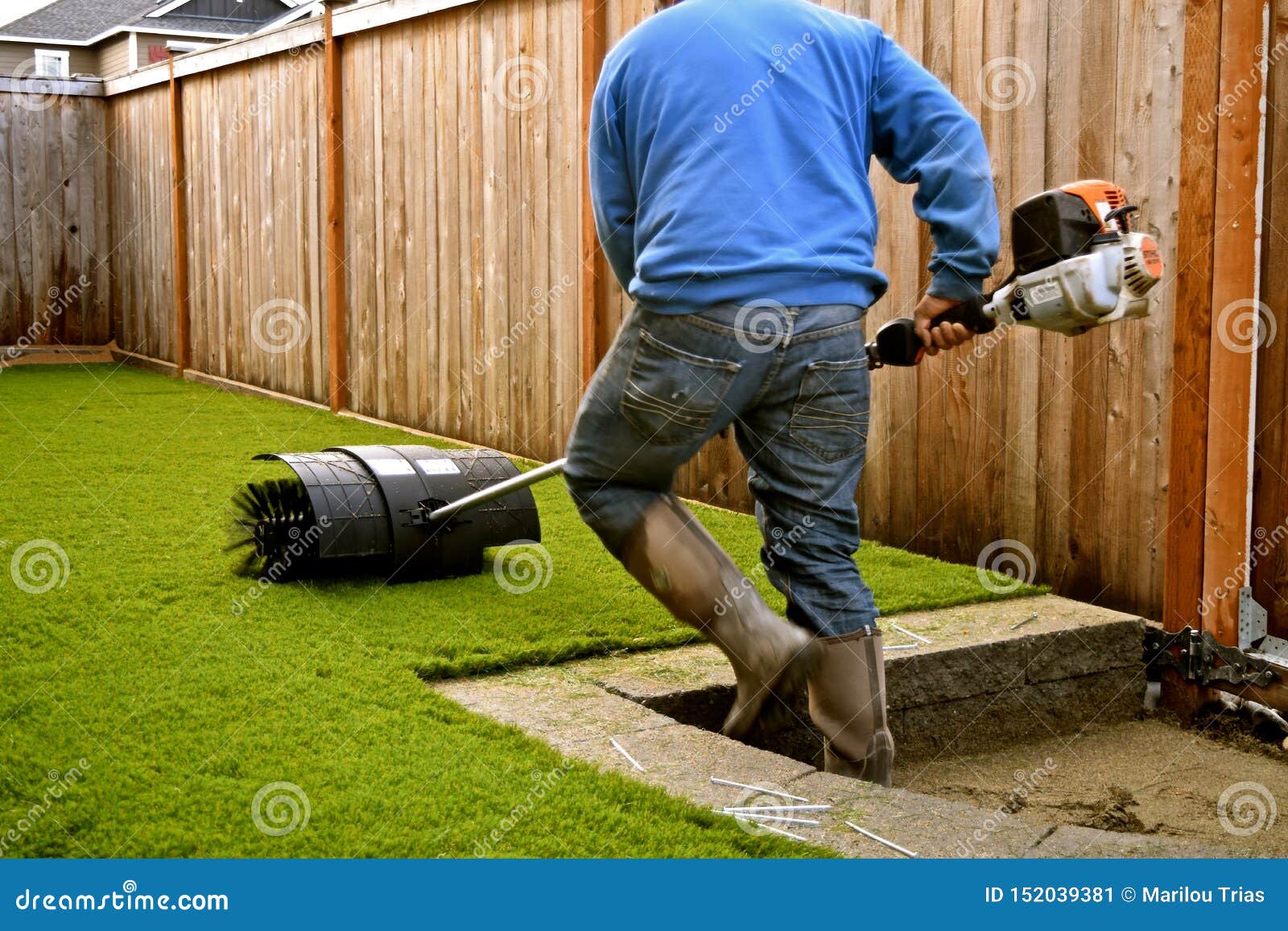 Workers installing turf stock image. Image of installation - 152039381