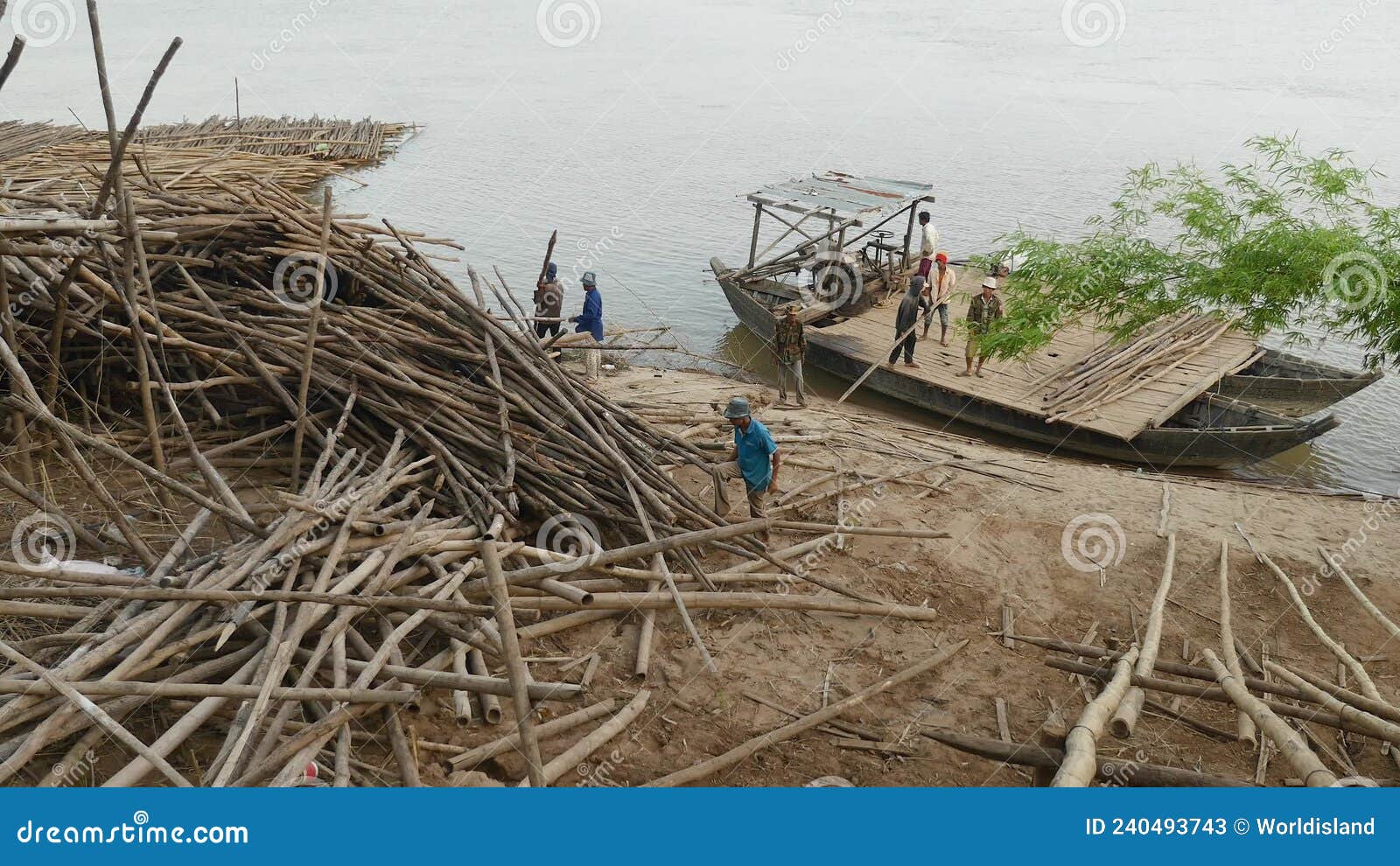 Workers Loading Thin Logs Wood Inside a Small Barge Stock Video - Video ...