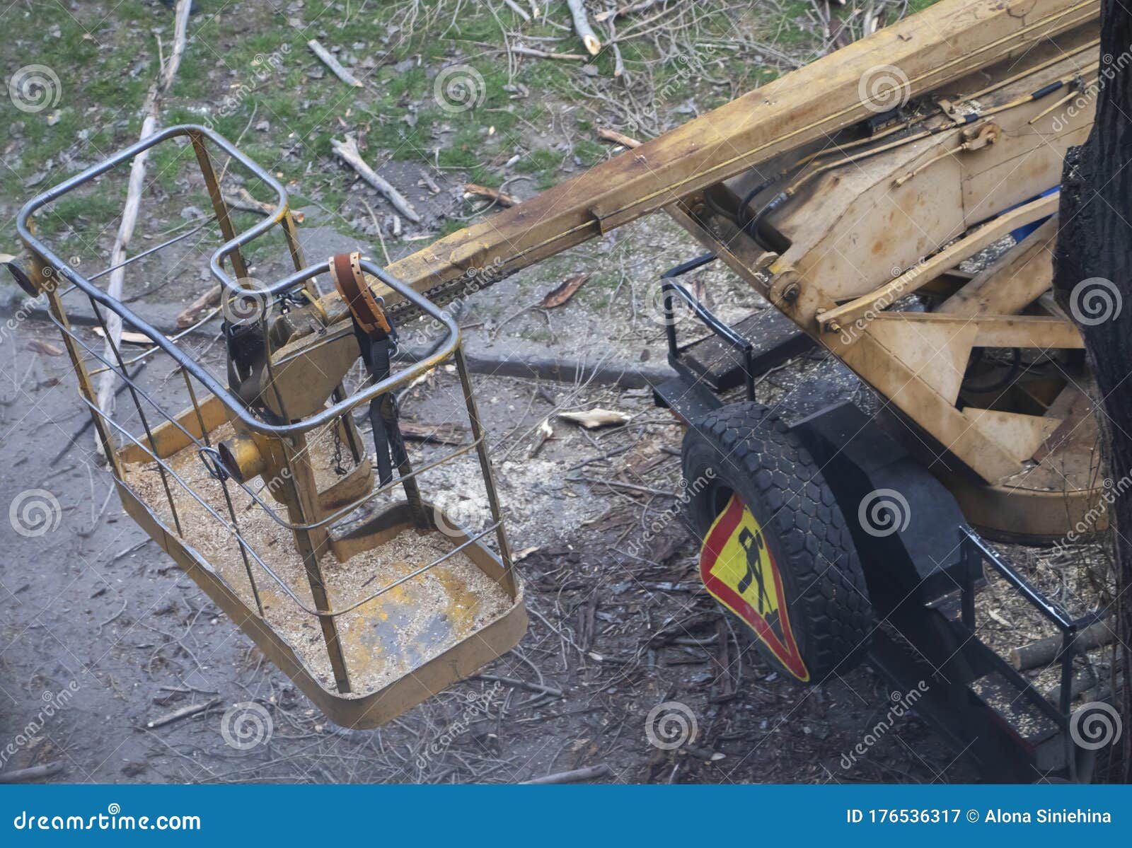 Workers on a Mobile Mechanical Car Lift Cut Trees. Annual Planned ...