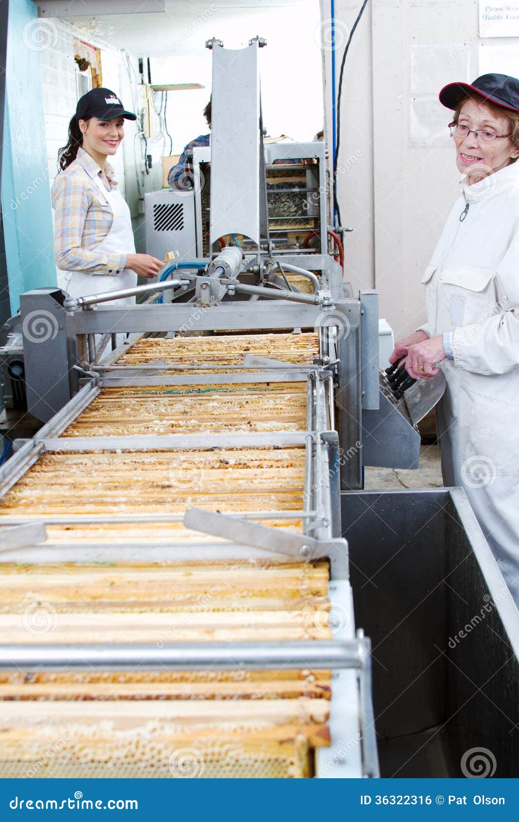 Workers Monitoring Movement of Honey Frames Stock Photo - Image of ...